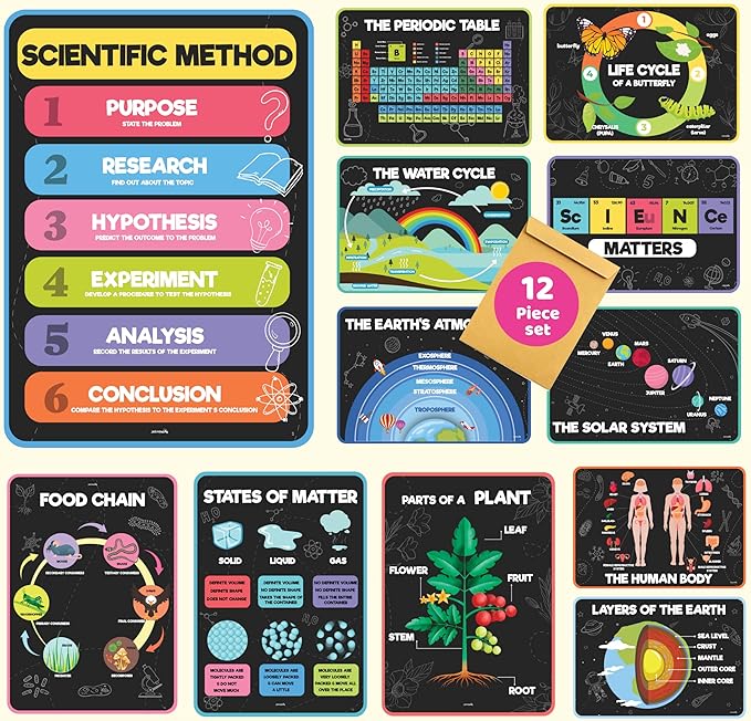 Amazon.com: Jackinthebox 12 Science Posters for Classroom - 12 x 17 ...