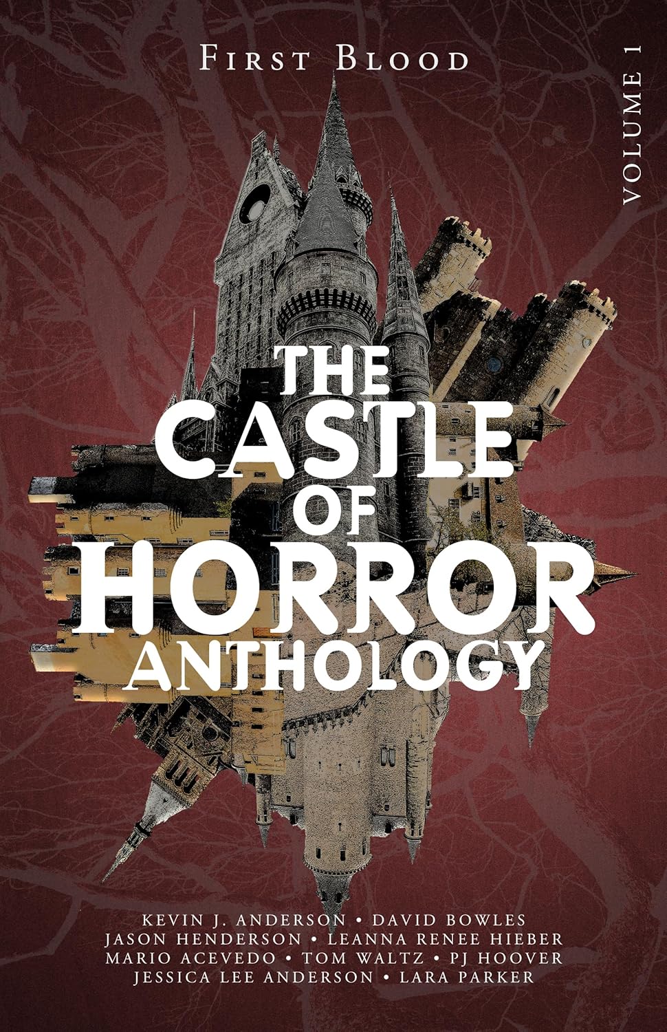 Castle of Horror Anthology Volume One: A Collection of Stories from the ...