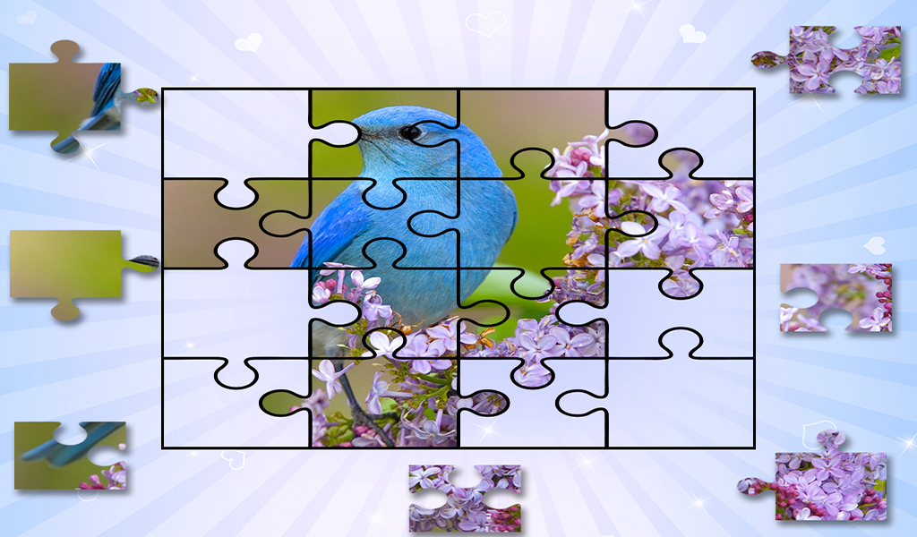 Bird Puzzle Toddler and Kids - App on Amazon Appstore