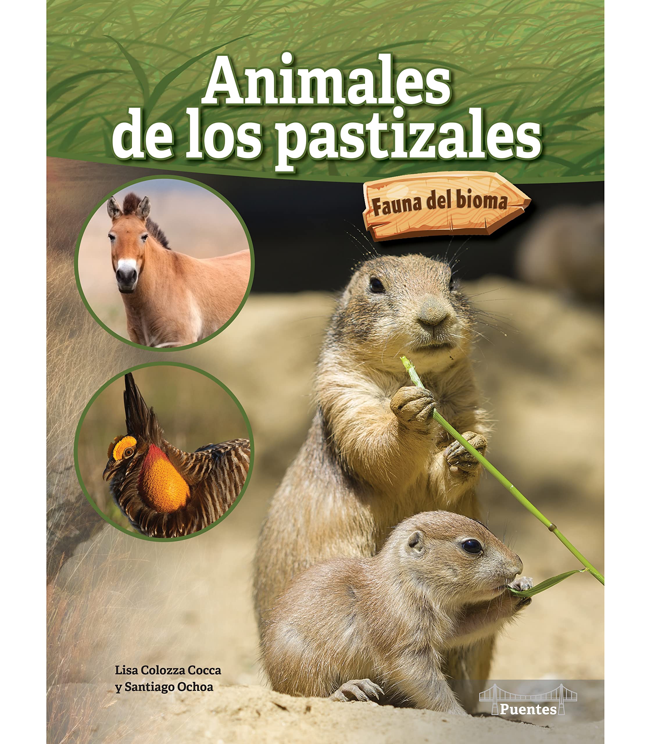 Animales de los pastizales (Grassland Animals), Guided Reading Level O ...