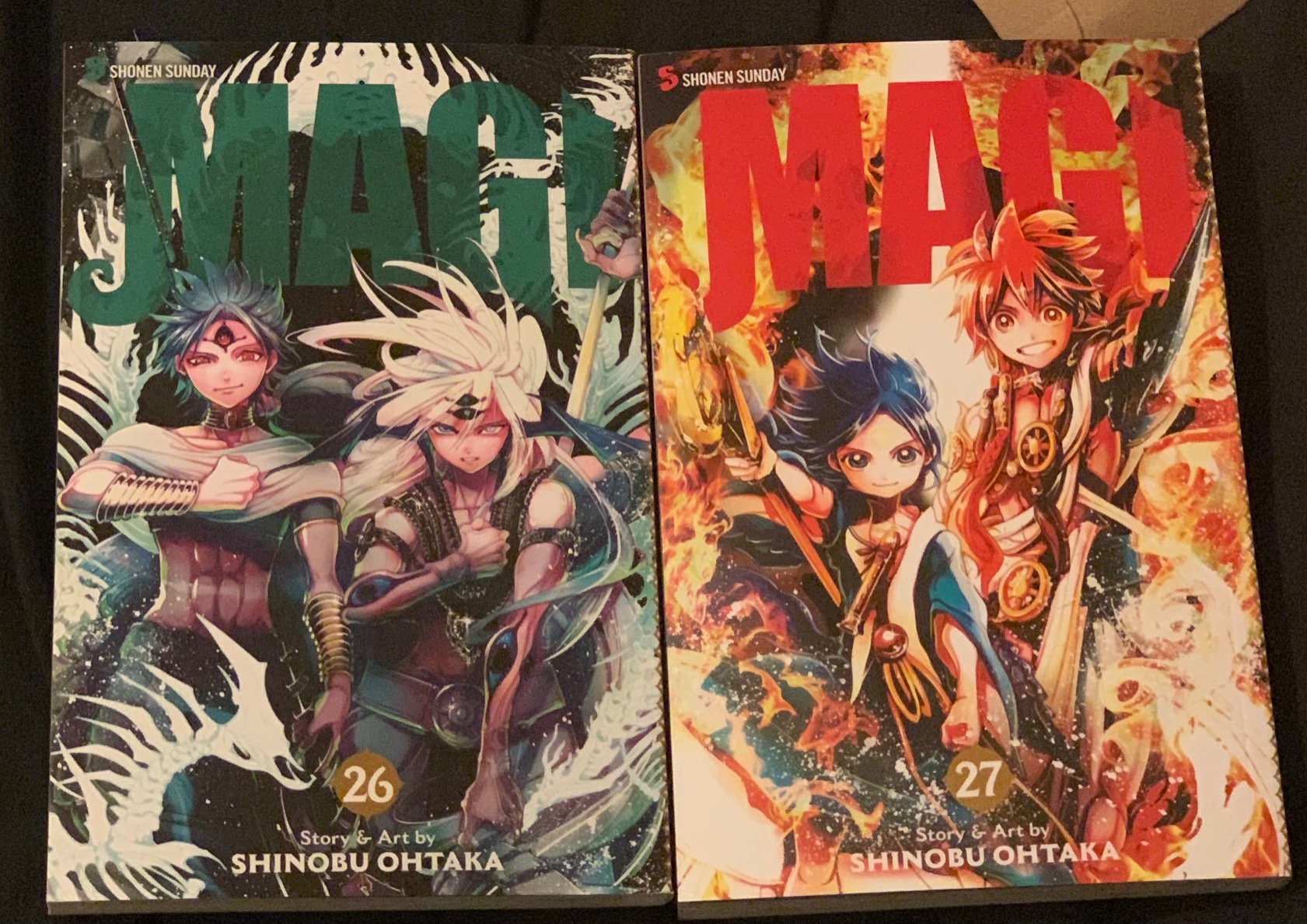 Magi, Vol. 25: The Labyrinth of Magic: Volume 25: Amazon.co.uk: Shinobu ...