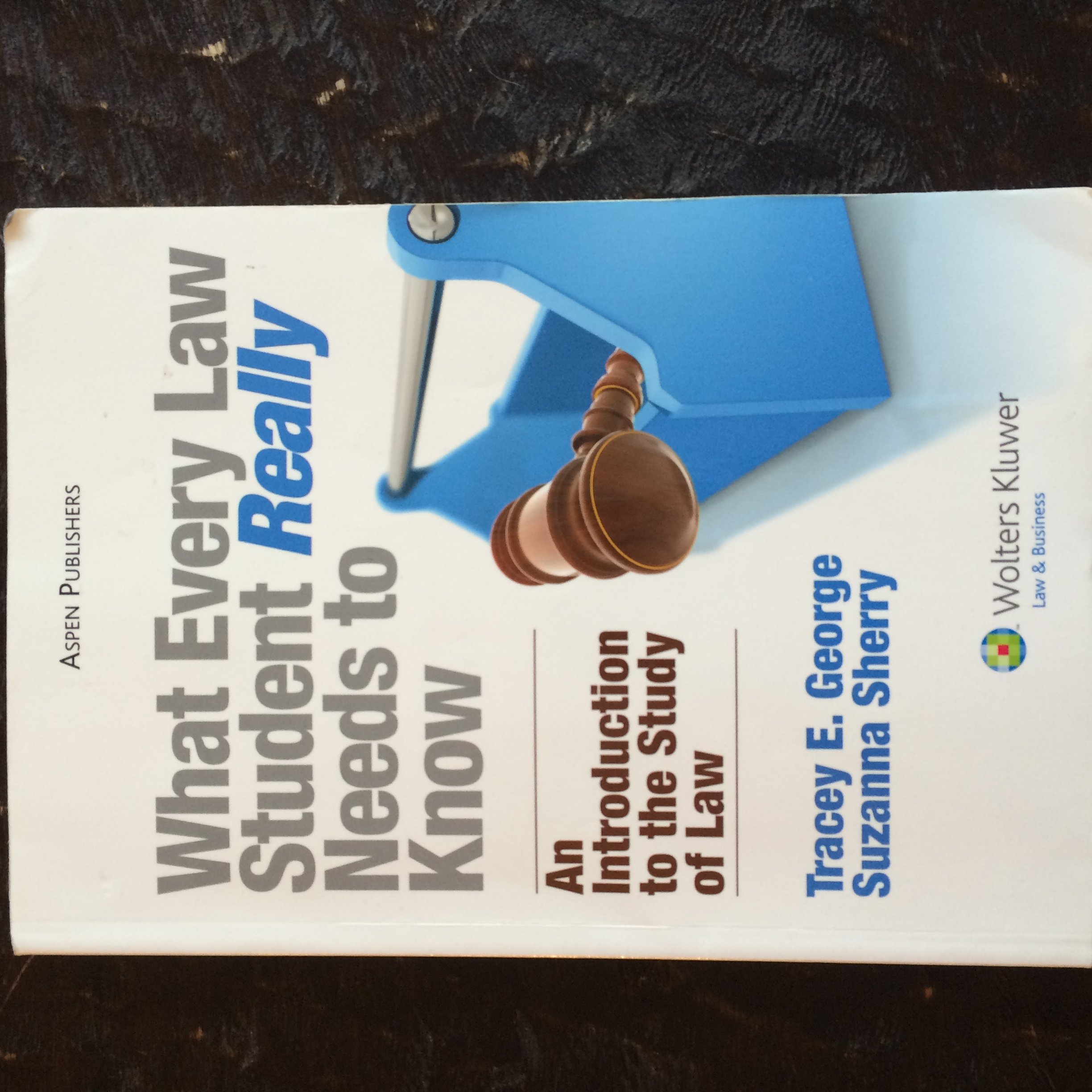 What Every Law Student Really Needs to Know: An Introduction to the ...