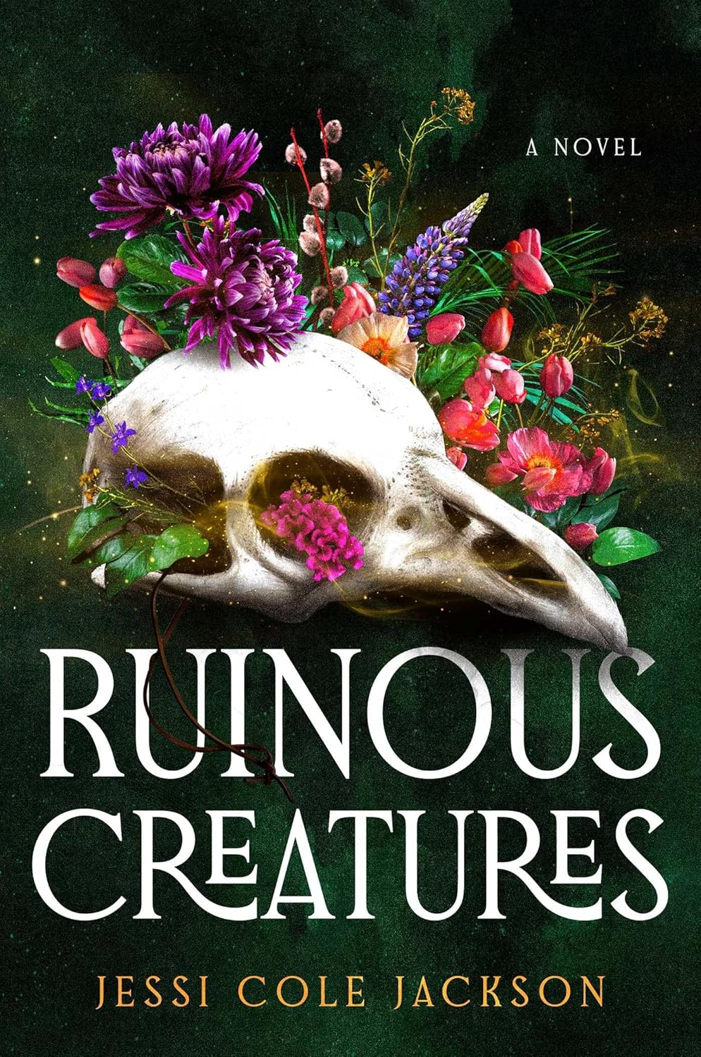 Ruinous Creatures: A Novel: Cole Jackson, Jessi: 9781668092897: Amazon ...