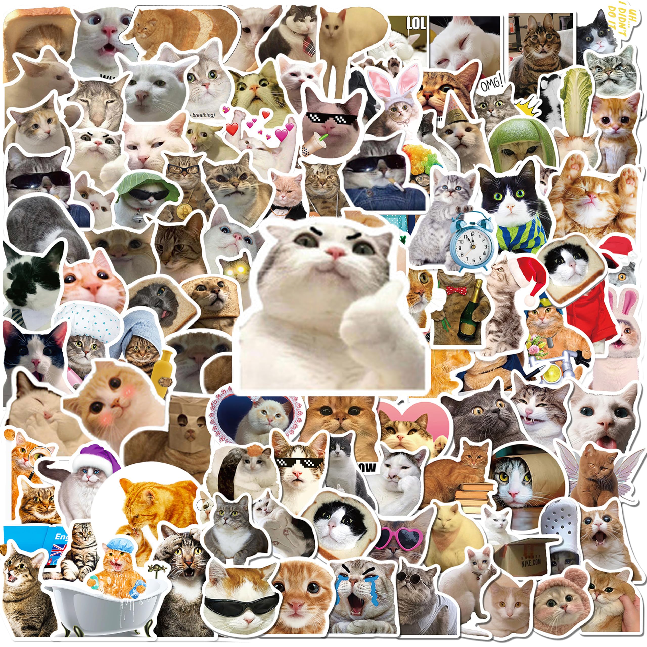 Amazon.com: 200Pcs Cat Meme Stickers, Waterproof Cat Stickers for Water ...