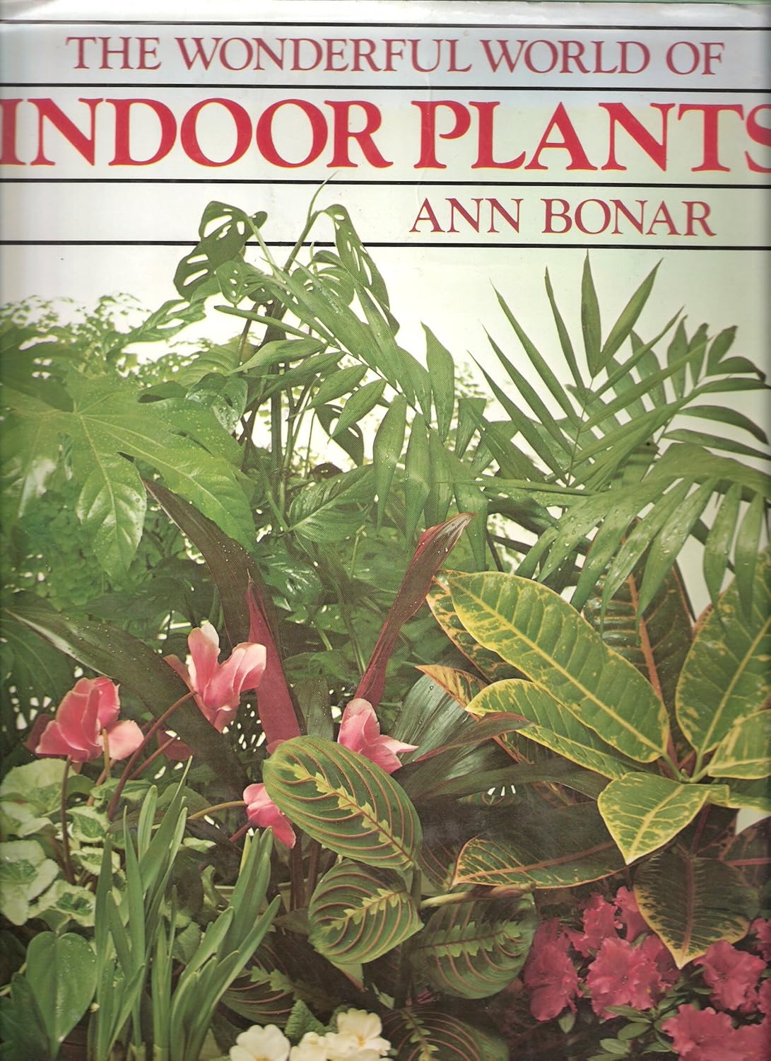 Wonderful World of Indoor Plants: Ann Bonar: 9780706405262: Amazon.com ...