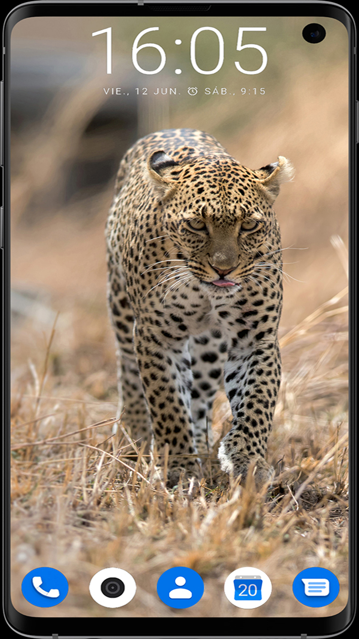 Animals Wallpapers - App on Amazon Appstore