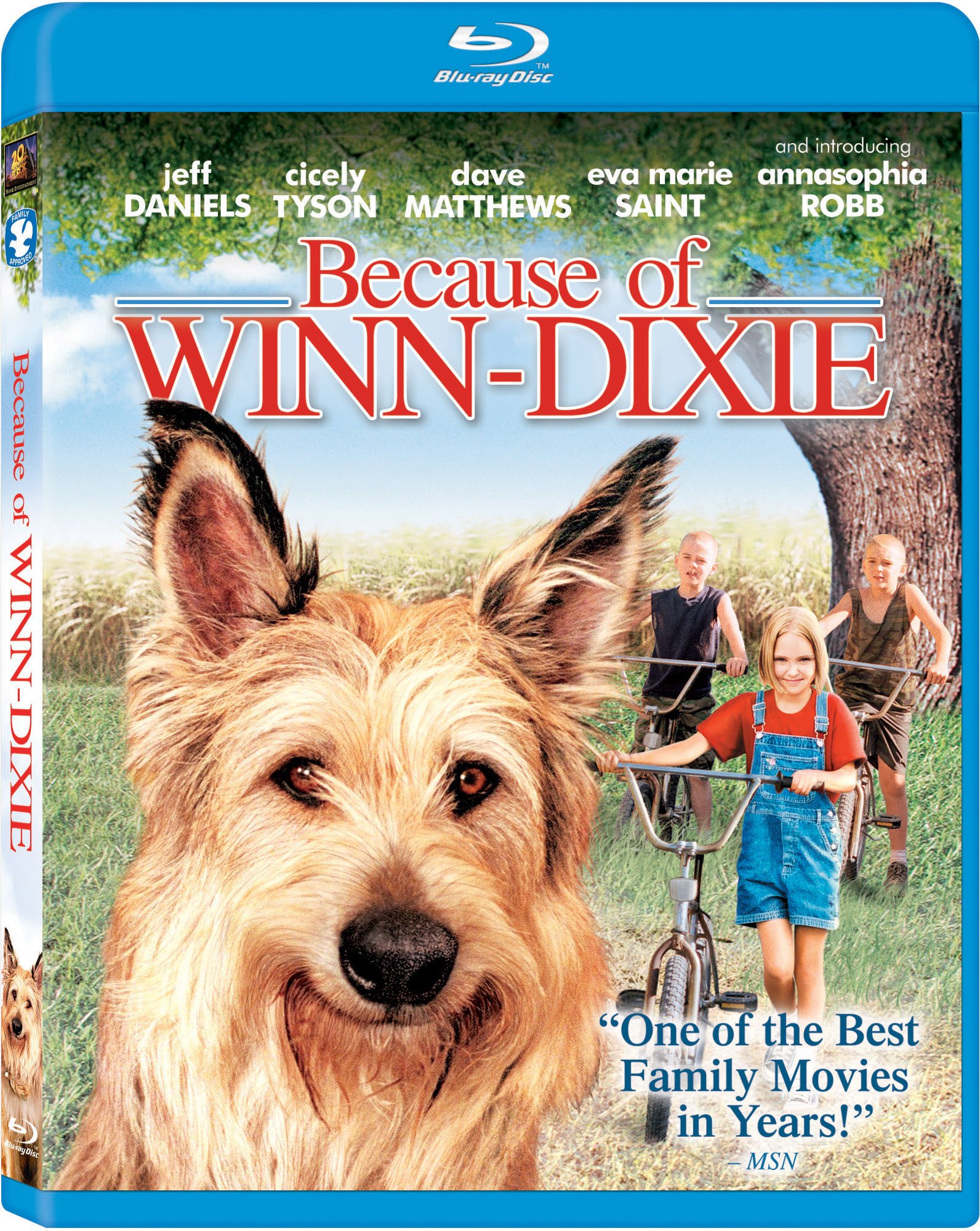 Because Of Winn Dixie Characters List Why Read Because Of Winn Dixie?