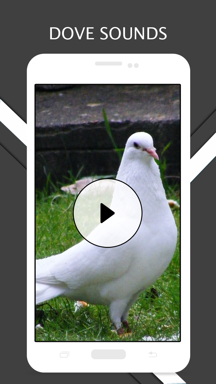 Dove Sounds And Ringtones - App on Amazon Appstore