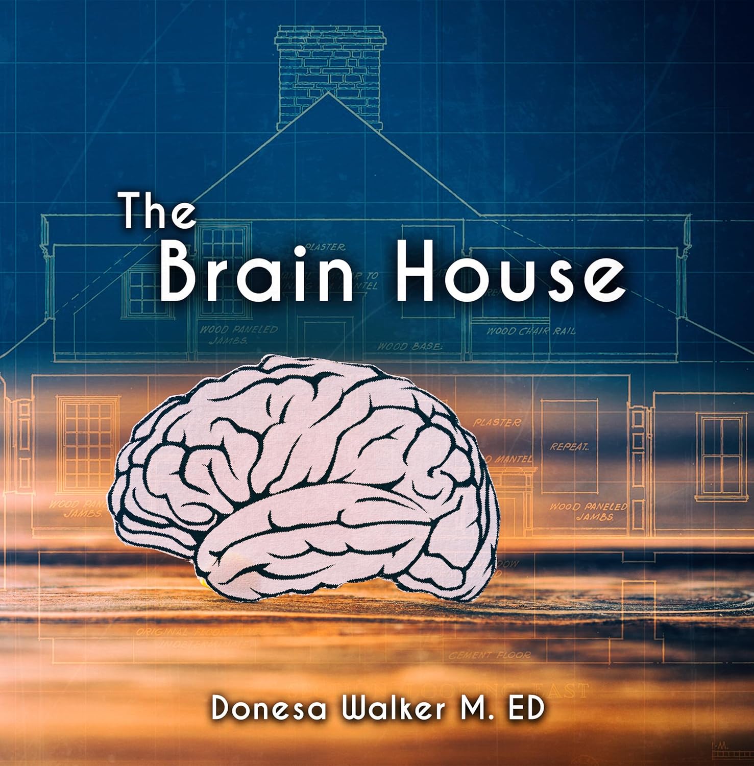 Amazon.com: The Brain House (The Brain Training Series) eBook : Walker ...