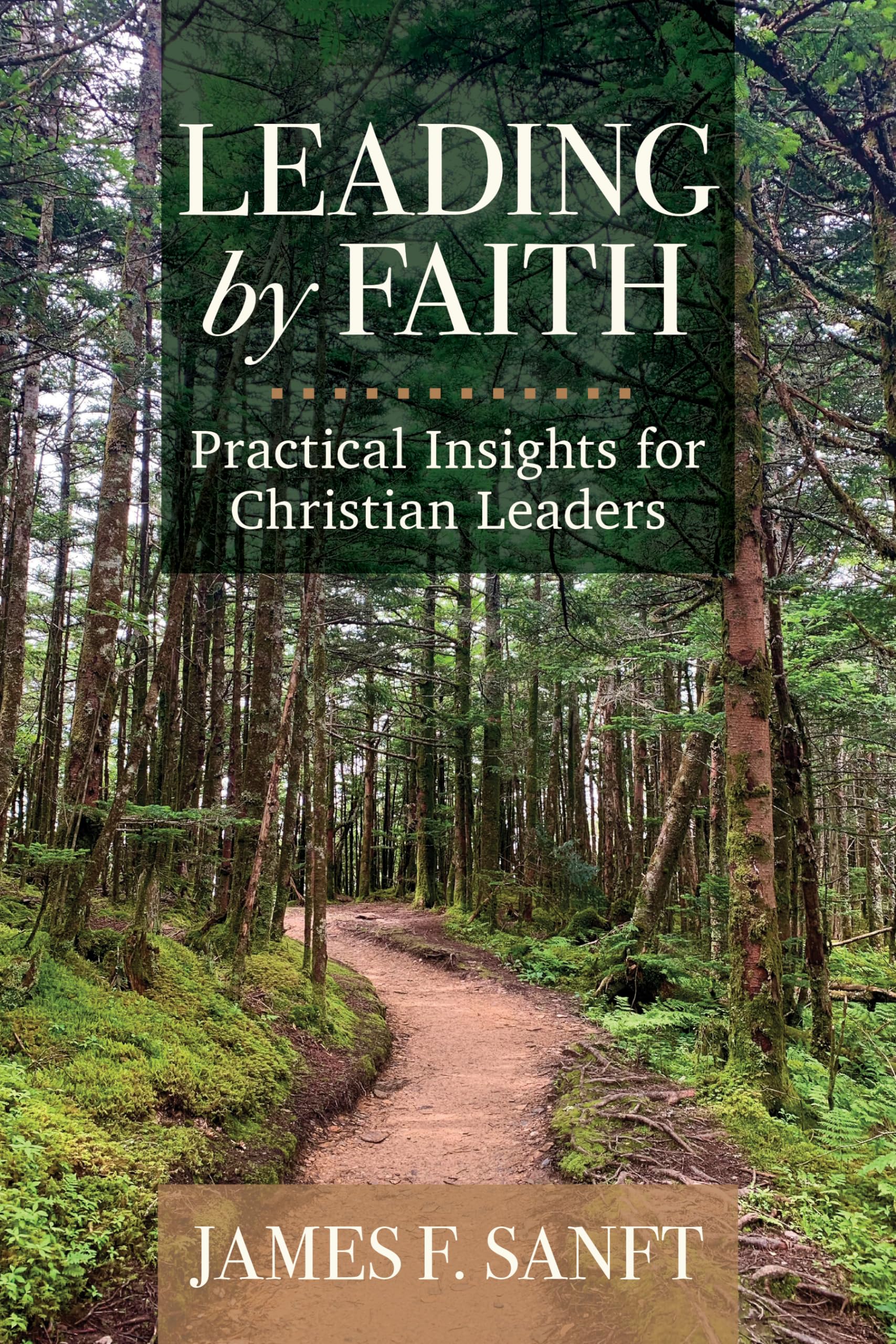 Leading by Faith: Practical Insights for Christian Leaders: Sanft ...