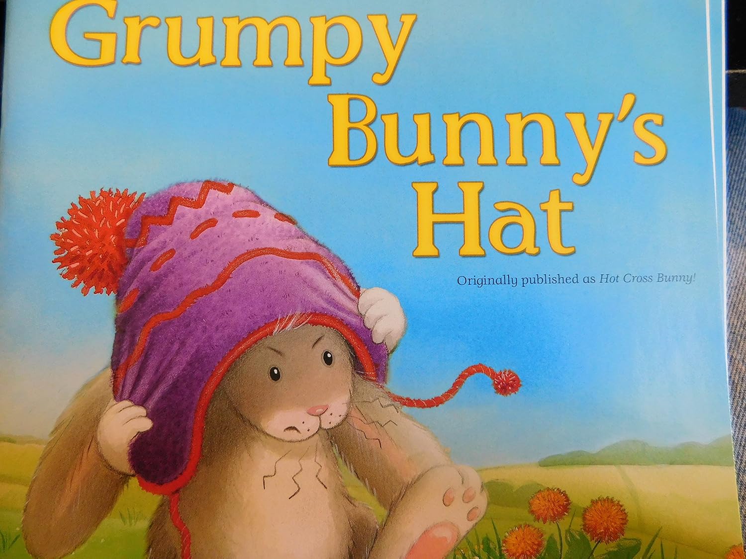Grumpy Bunny's Hat: M. Christina Butler, Gavin Scott: 9780545537971 ...