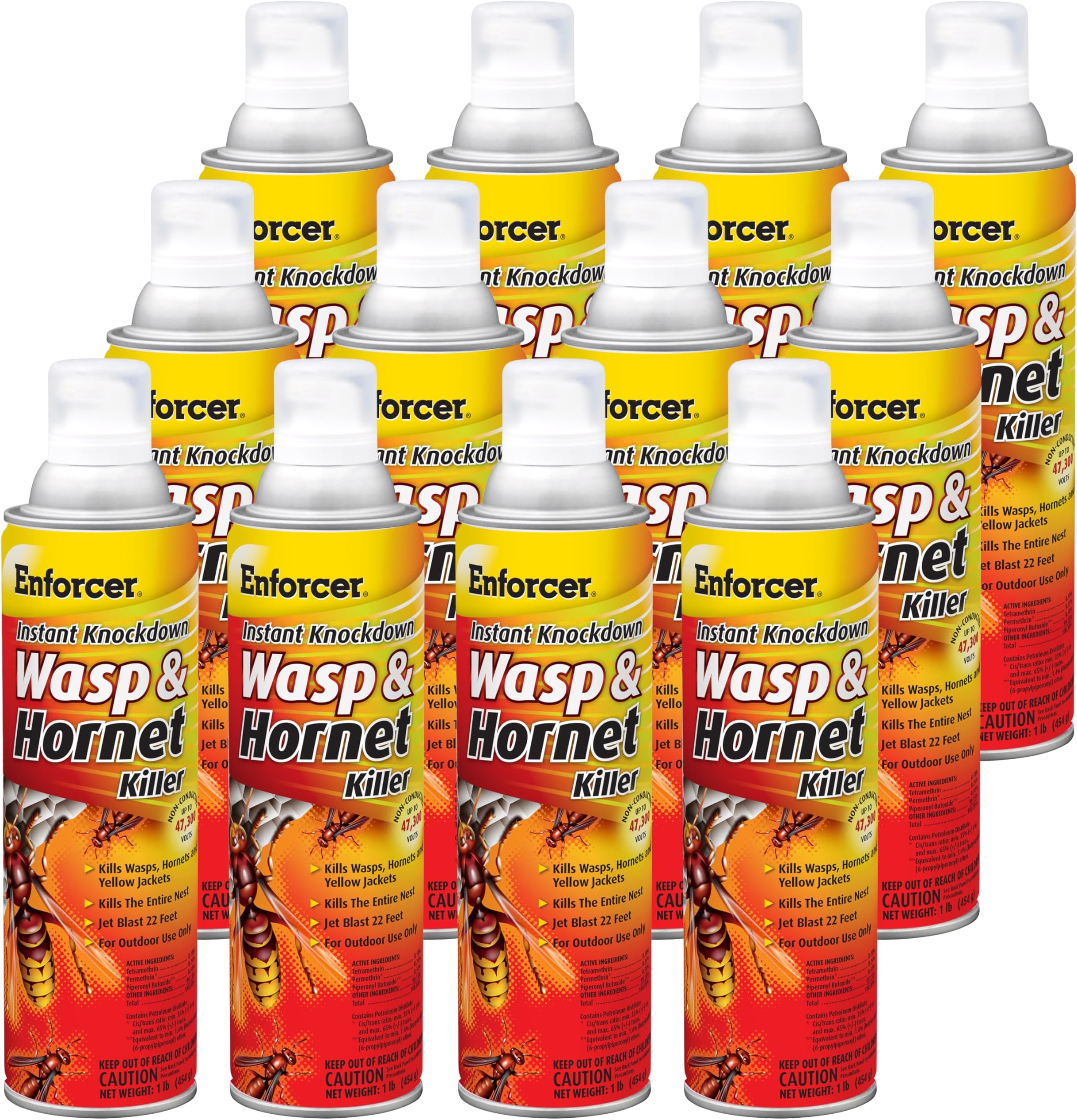 Amazon.com: TERRO 19 oz. Wasp and Hornet Killer Spray For Insects T3300 ...
