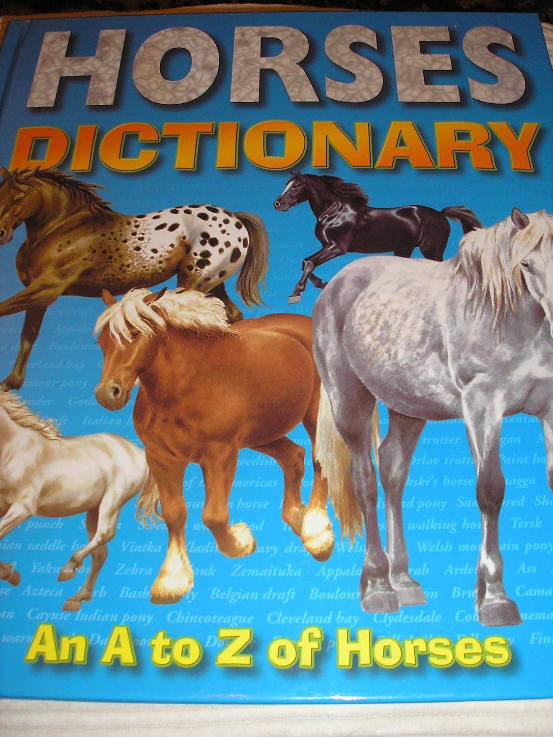 Horse Dictionary : An A to Z of Horses: 9781847501448: Amazon.com: Books