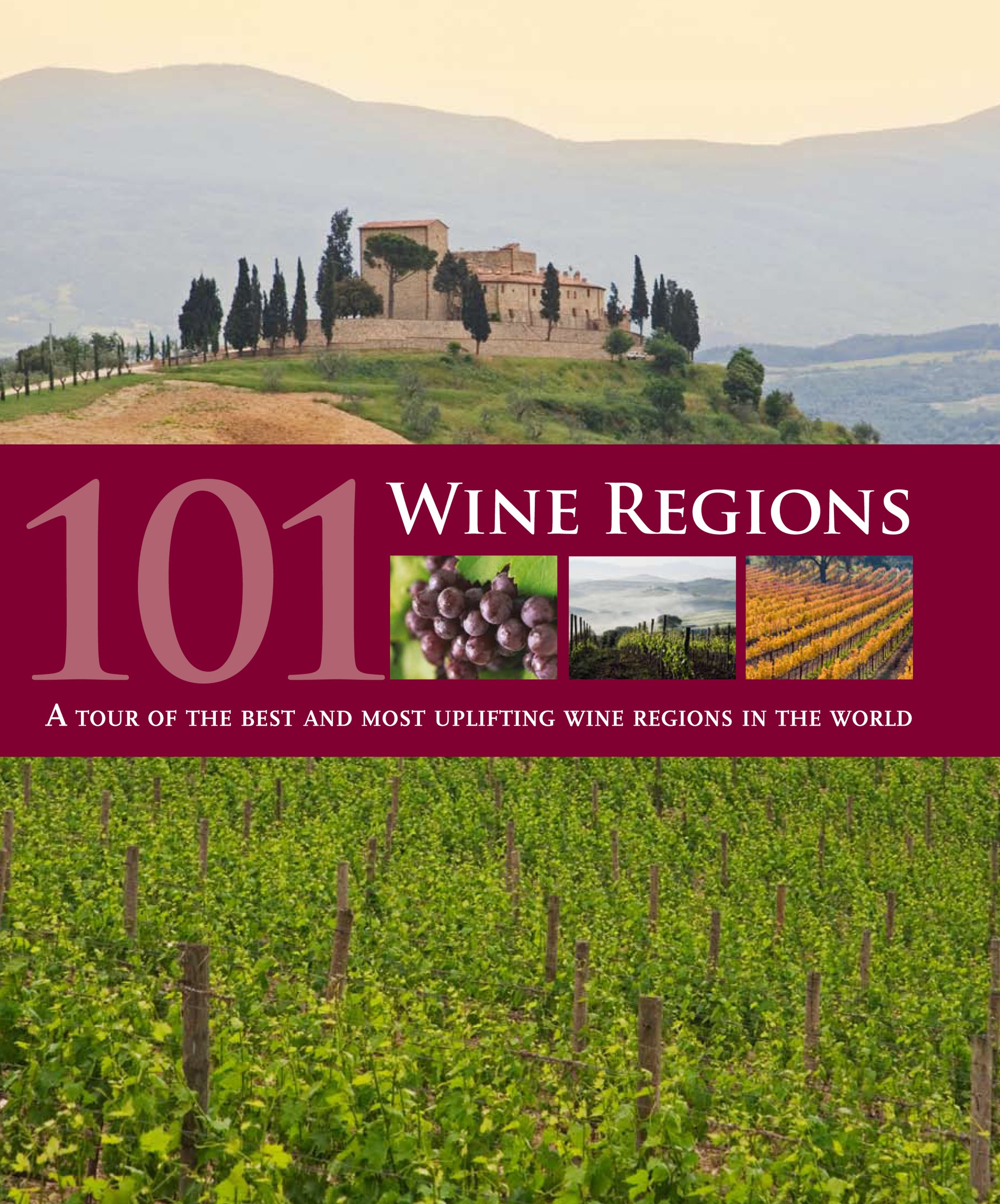 Buy 101 Wine Regions: A Tour of the Best and Most Uplifting Wine Regions in the World Online at ...