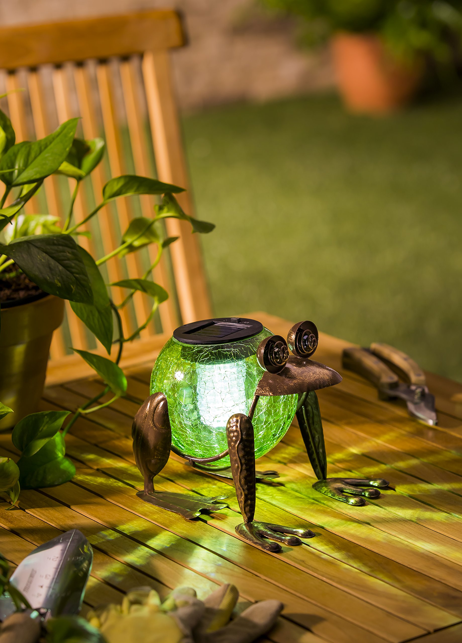 Evergreen Plants Lighting Lighting In Exclusive Garden Design
