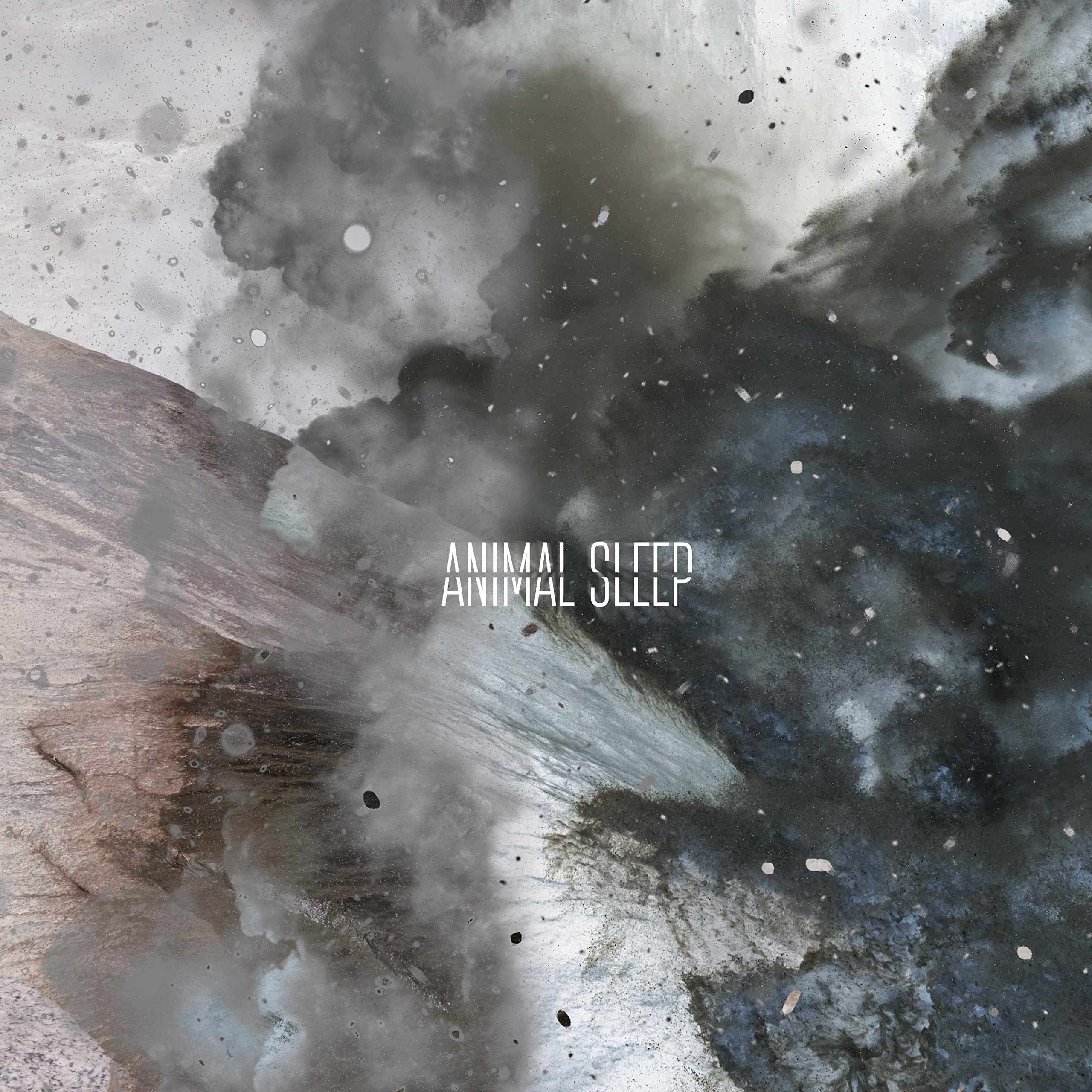 Animal Companion song by Pet Care Club from Calm My Cat – Soothing ...