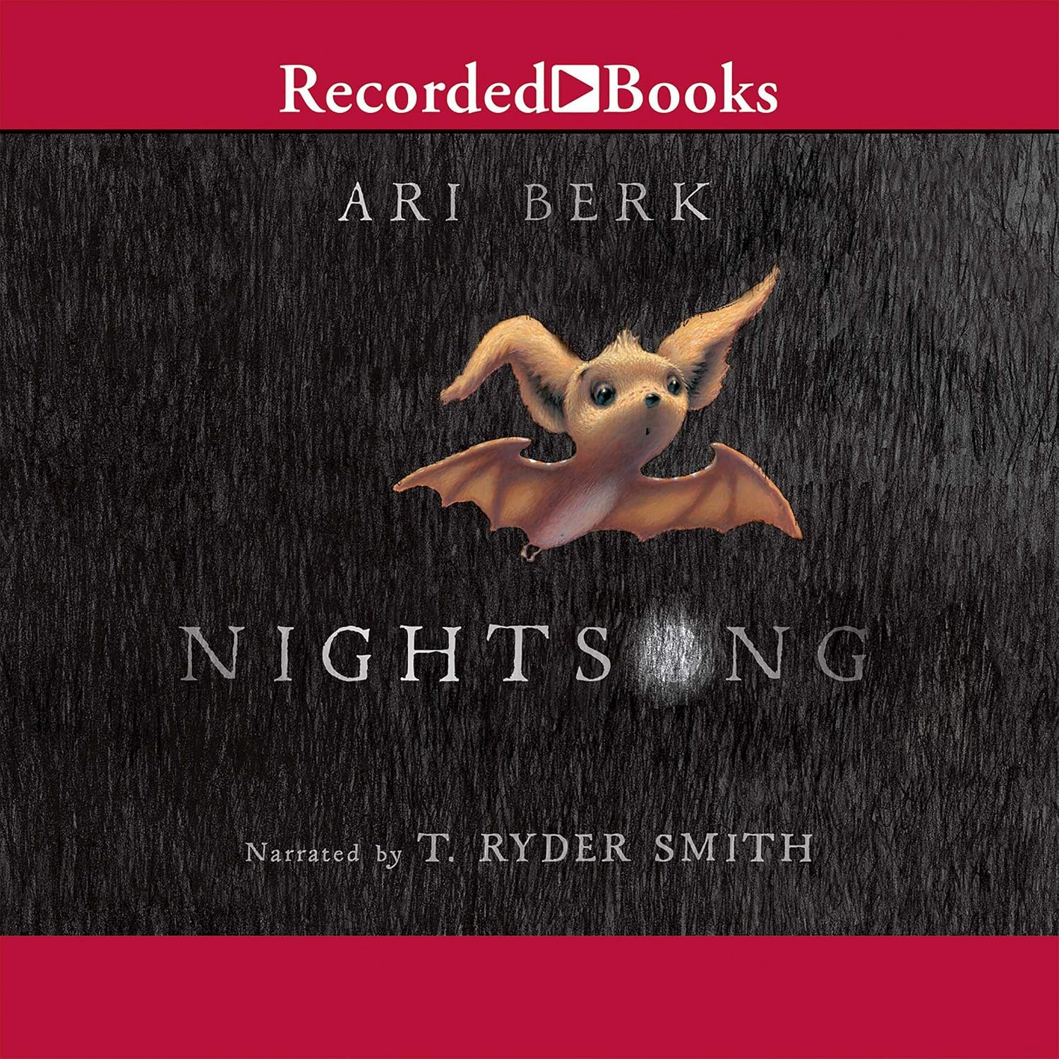 Nightsong: Ari Berk: 9781664420359: Amazon.com: Books