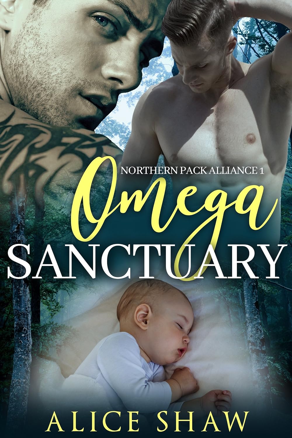 Omega Sanctuary: An M/M Mpreg Romance Omegaverse (Northern Pack ...