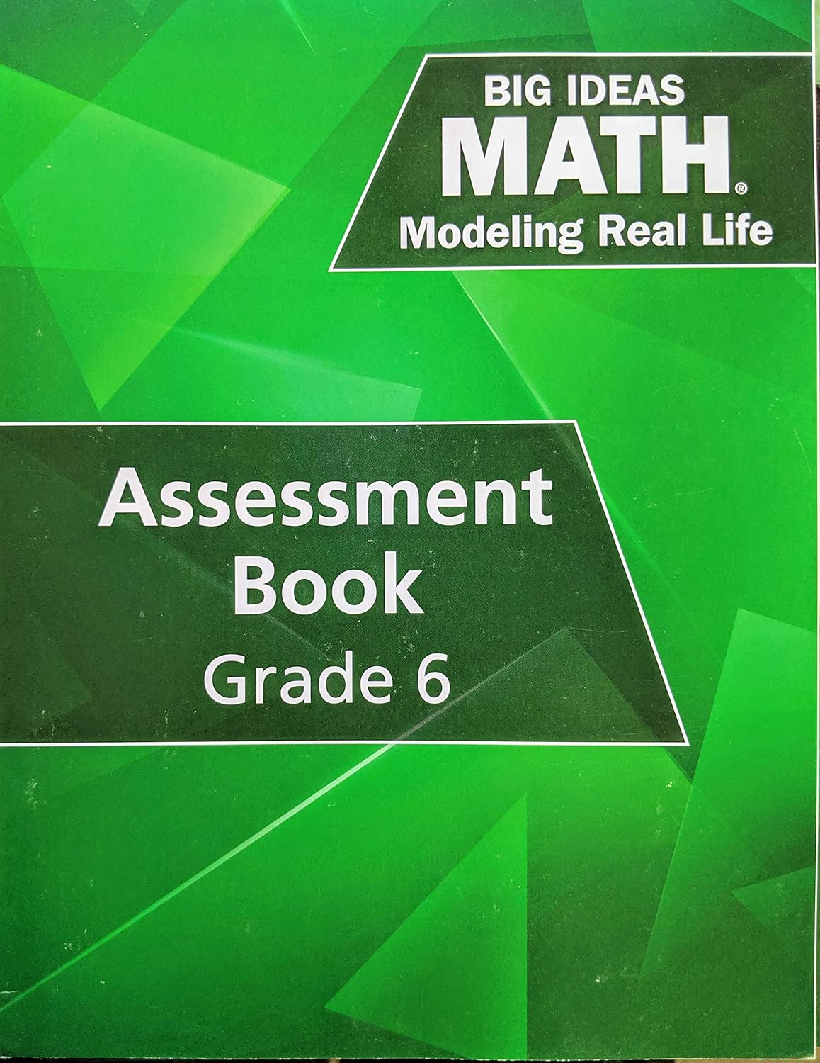 Big Ideas Math: Modeling Real Life - Grade 6 Assessment Book, 9781642080827, 1642080829: Ron ...