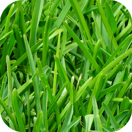 Grass Wallpapers - App on the Amazon Appstore