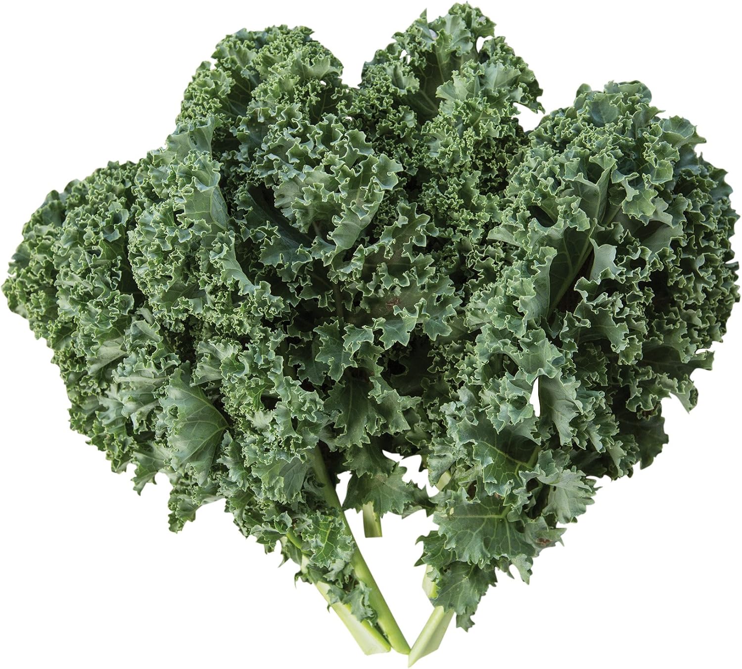 Amazon.com: Burpee Prizm Hybrid Kale Seeds 50 seeds : Everything Else