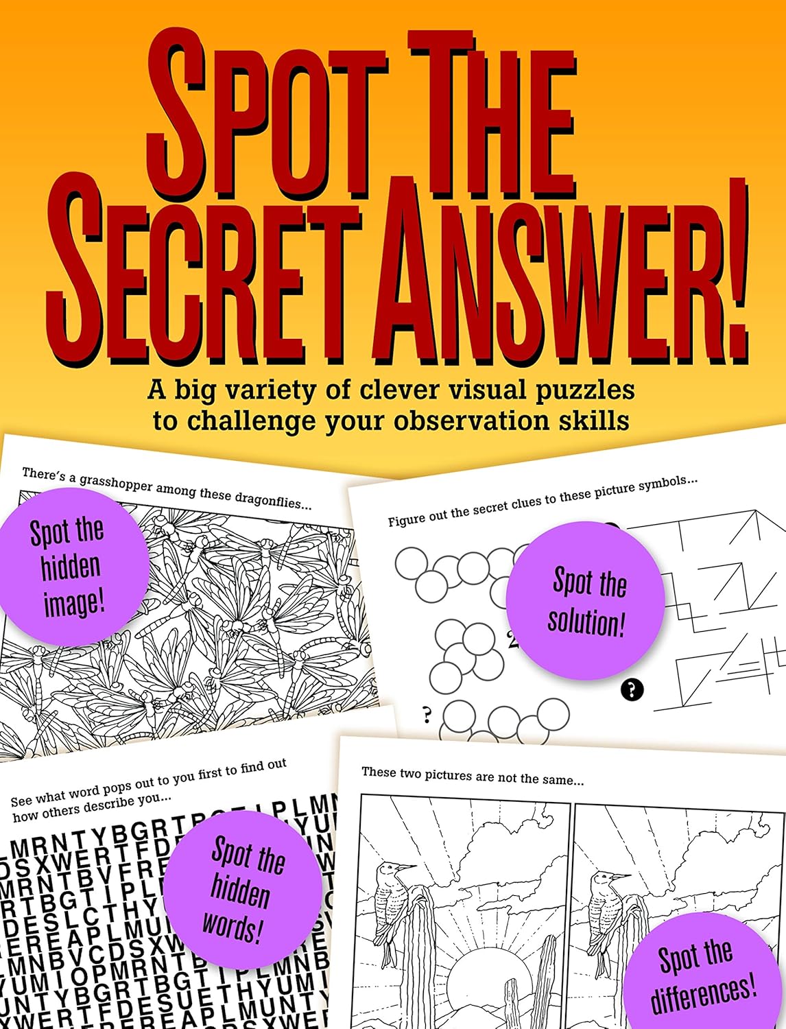 Amazon.com: Spot the Secret Answer: 9781733160322: Product Concept ...