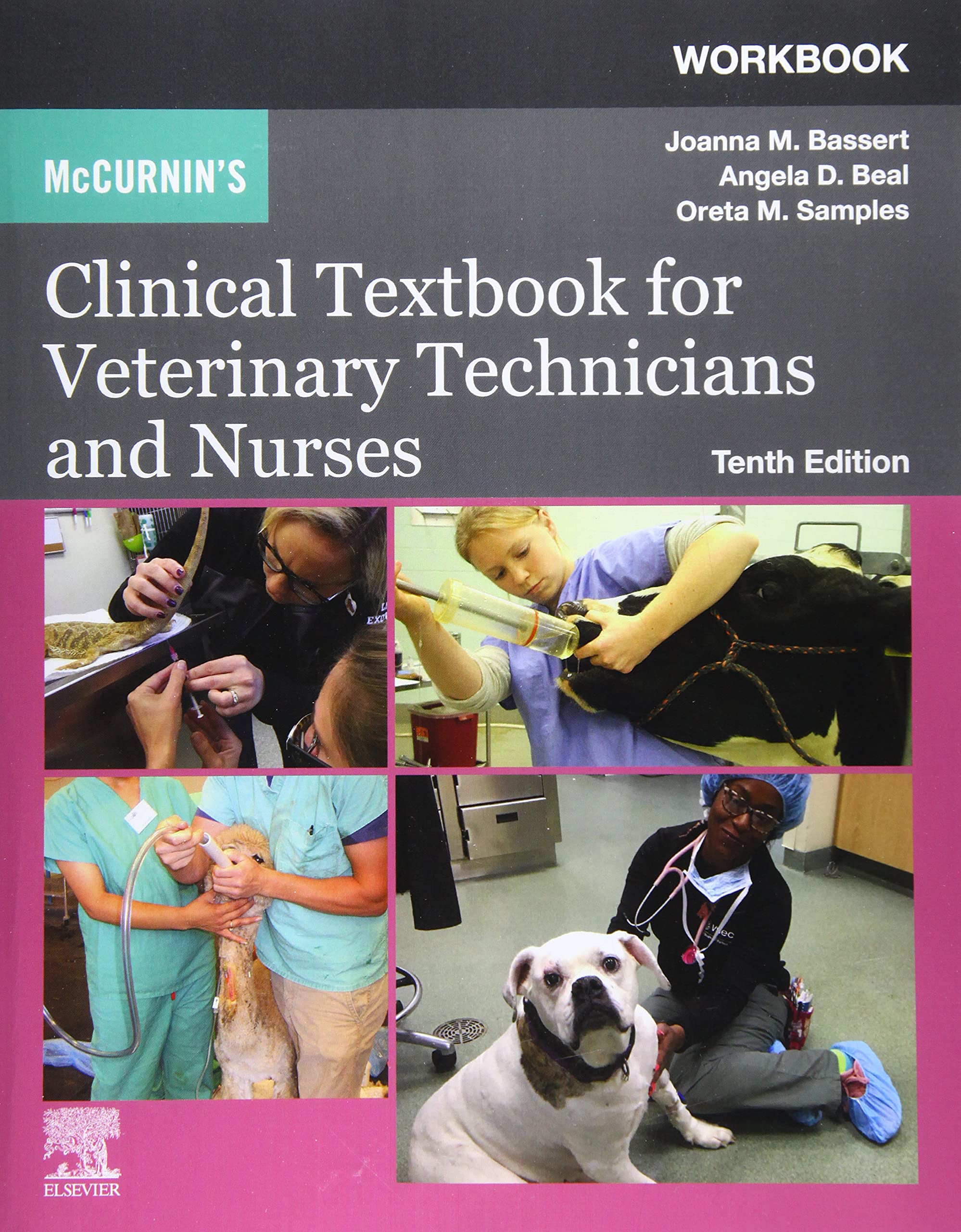 Workbook for McCurnin's Clinical Textbook for Veterinary Technicians ...