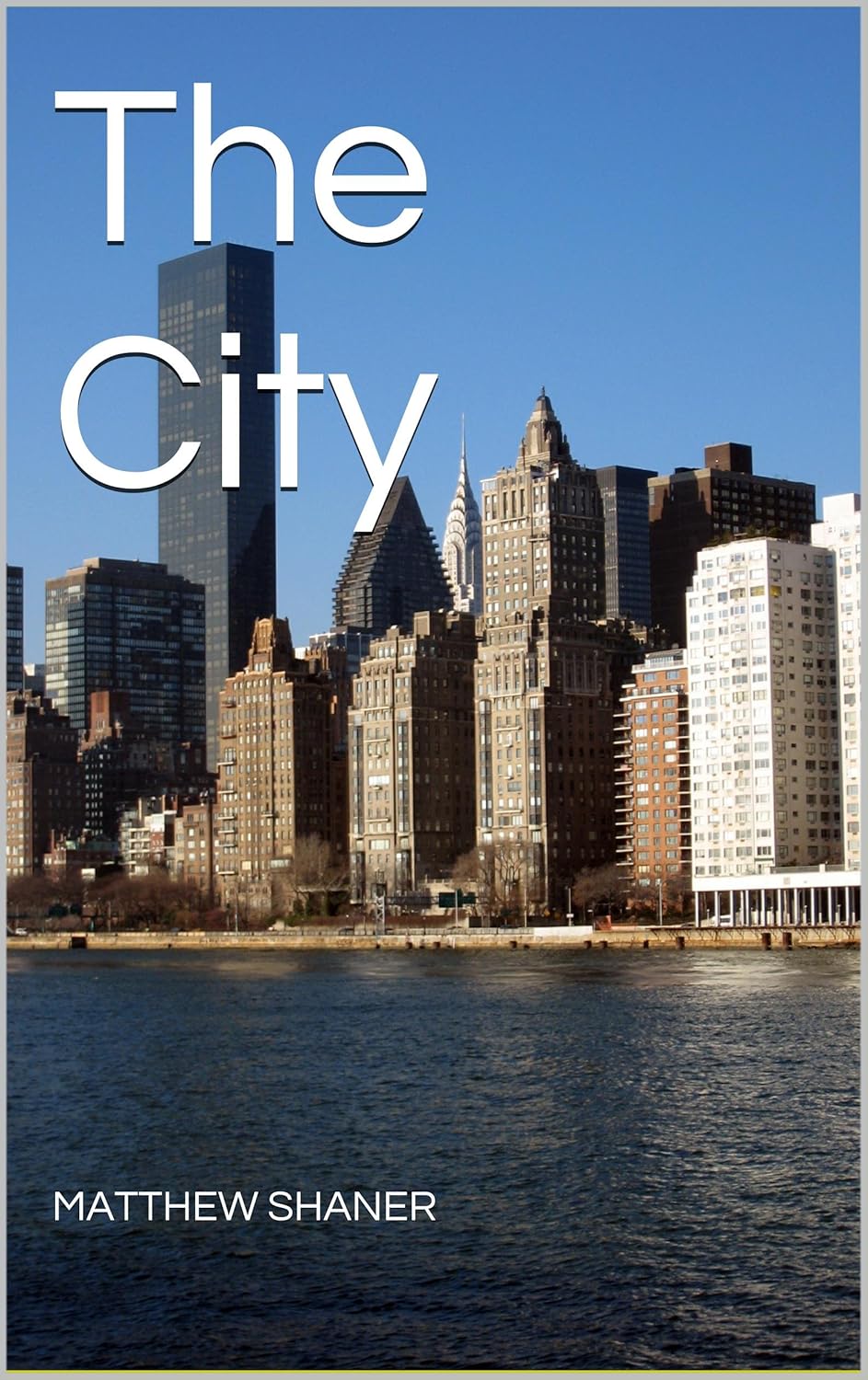 Amazon.com: The City eBook : Shaner, Matthew: Kindle Store