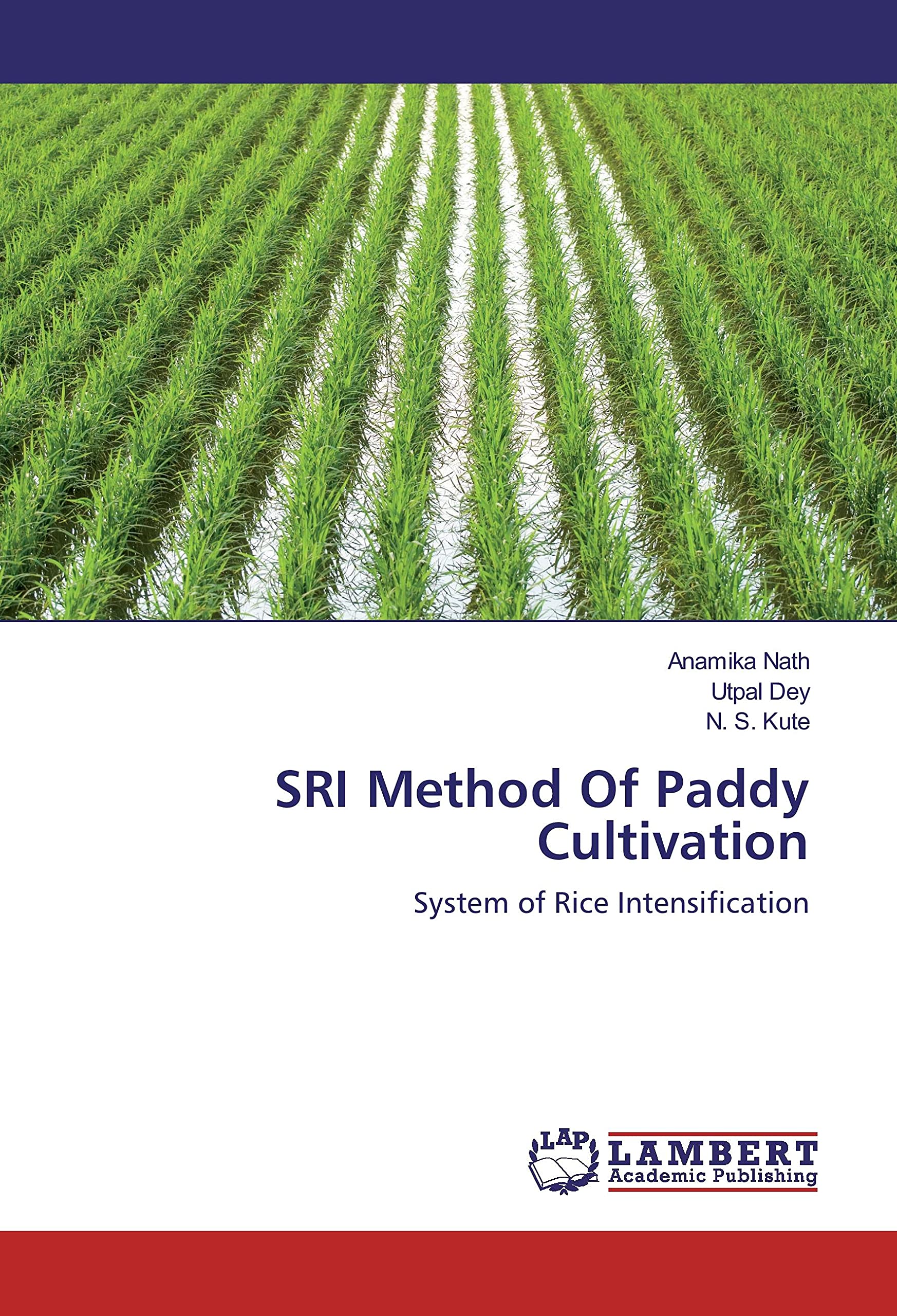 SRI Method Of Paddy Cultivation: System of Rice Intensification: Nath ...