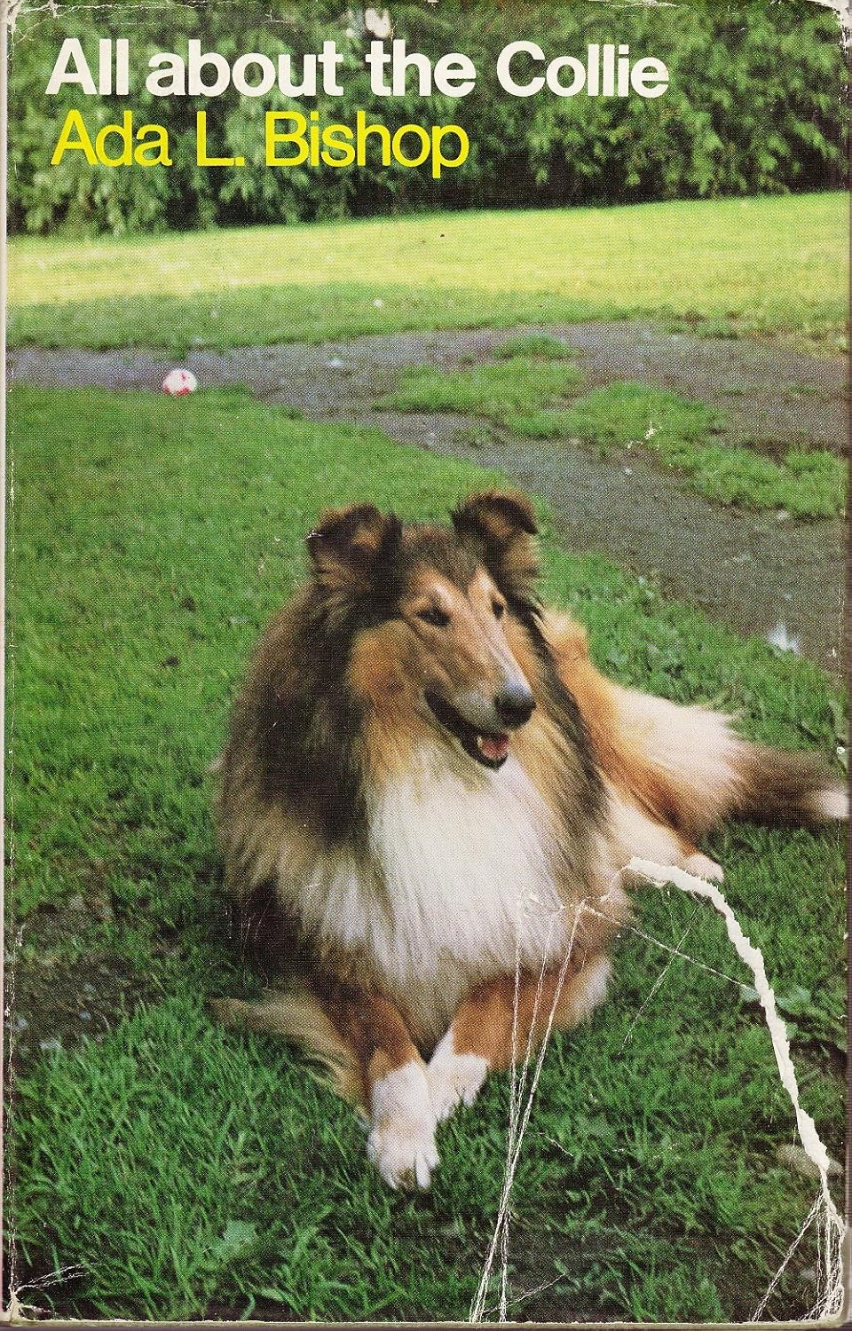 All about the Collie: BISHOP, Ada L.: 9780720704501: Amazon.com: Books