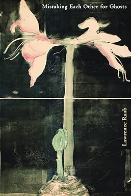 Mistaking Each Other for Ghosts: Raab, Lawrence: 9781936797653: Amazon ...