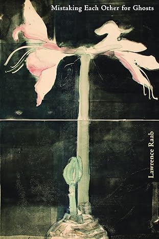 Mistaking Each Other for Ghosts: Raab, Lawrence: 9781936797653: Amazon ...