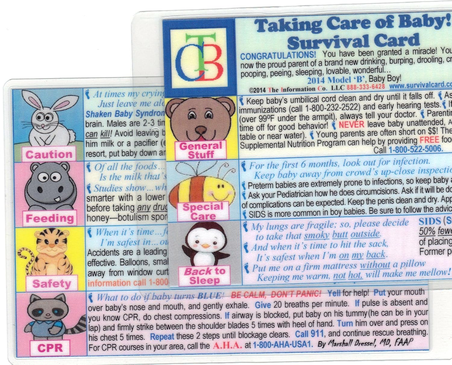 TCB - Boy (TAKING CARE of BABY BOY) Survival Card Quick Reference Guide ...