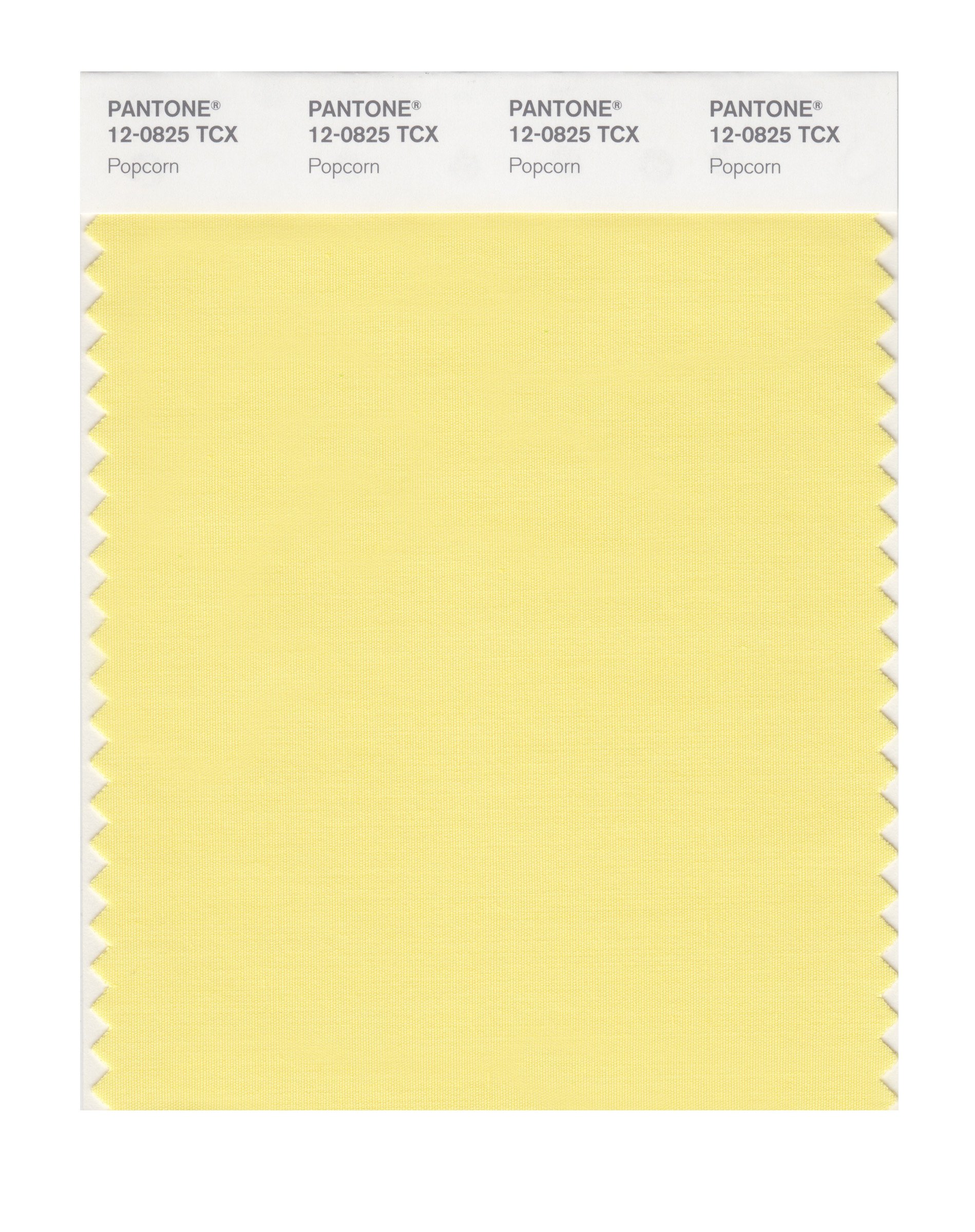 Buy PANTONE Smart 12-0825X Color Swatch Card, Popcorn Online at ...