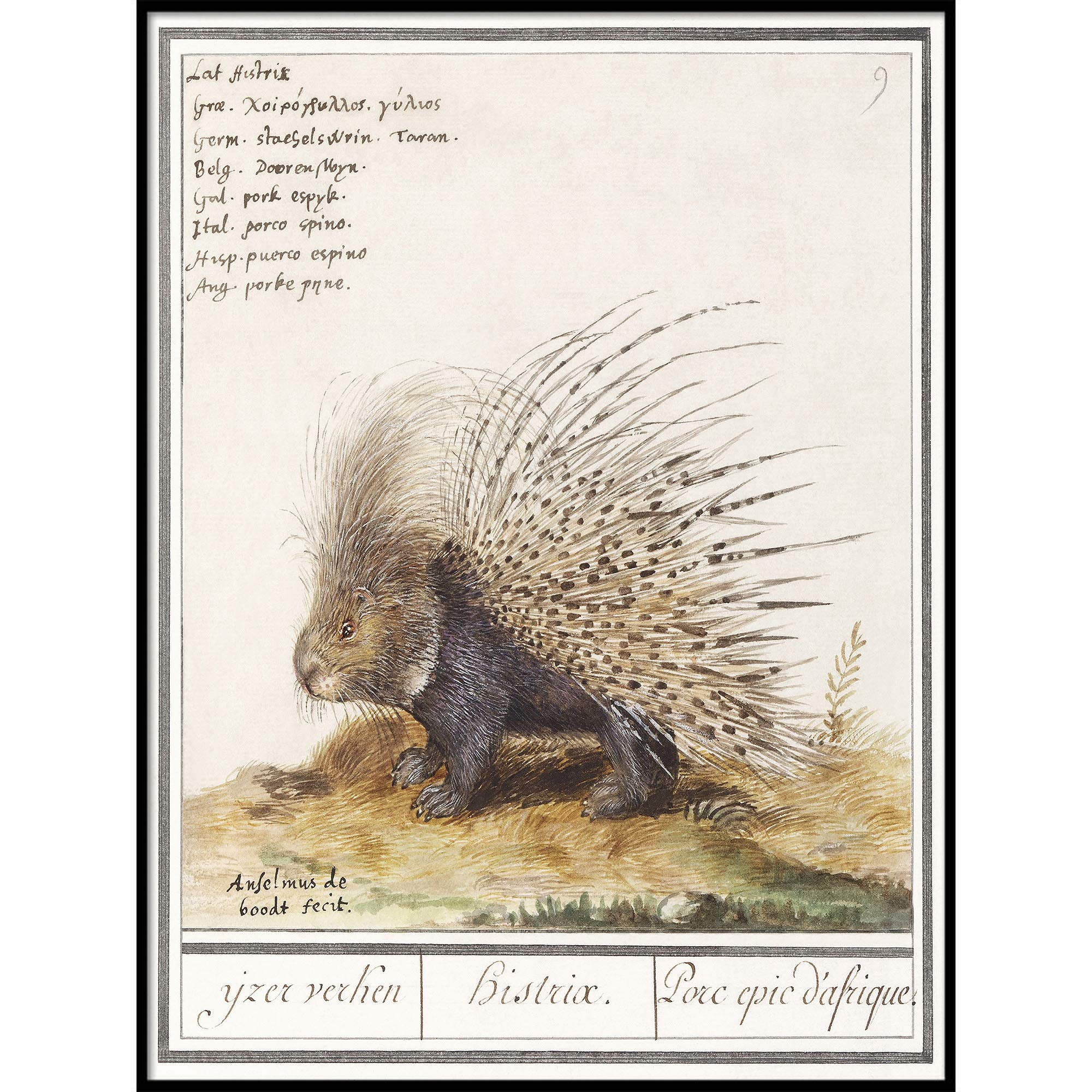 Porcupine Homes