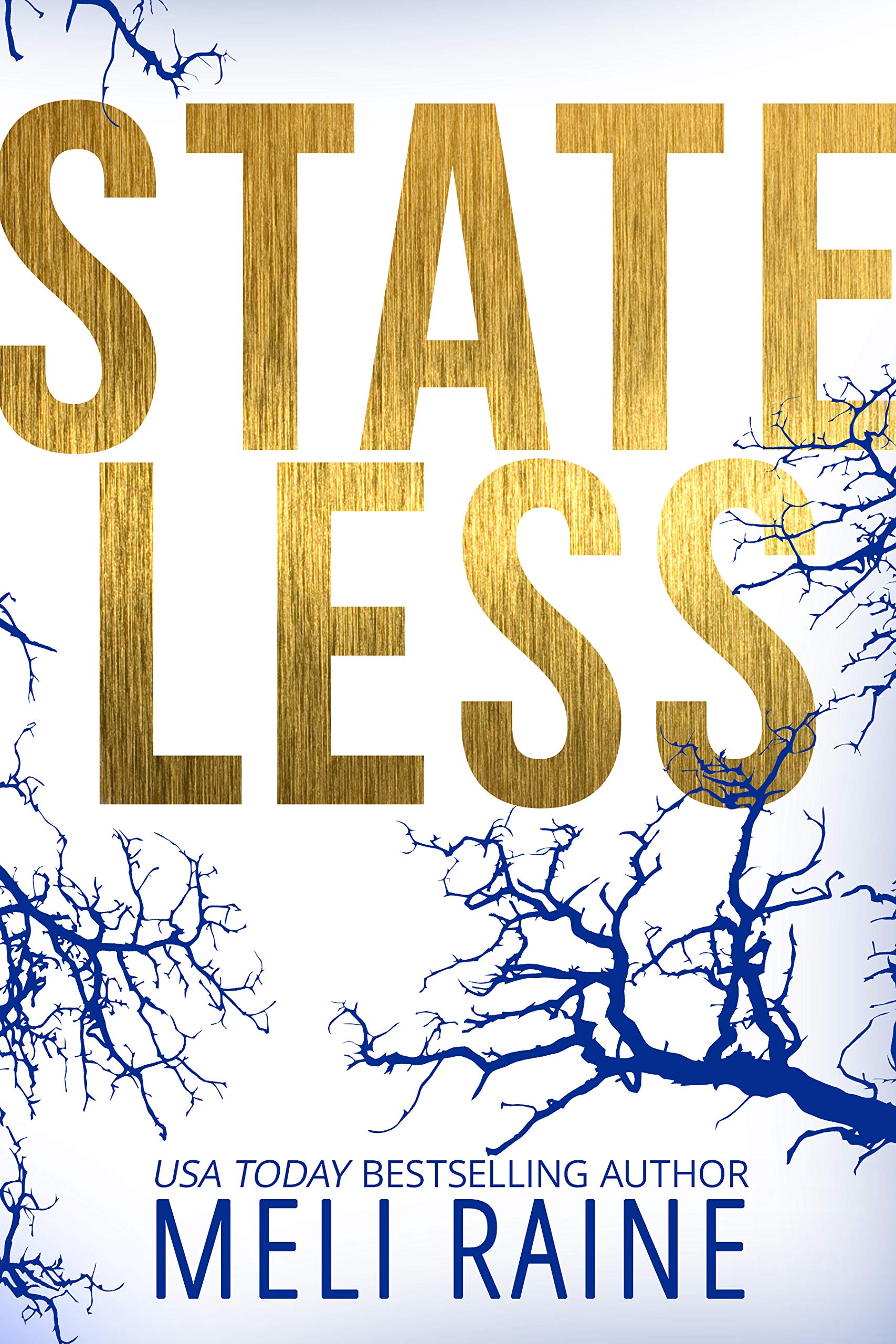 Stateless (Stateless #1): Raine, Meli: 9781691106240: Amazon.com: Books