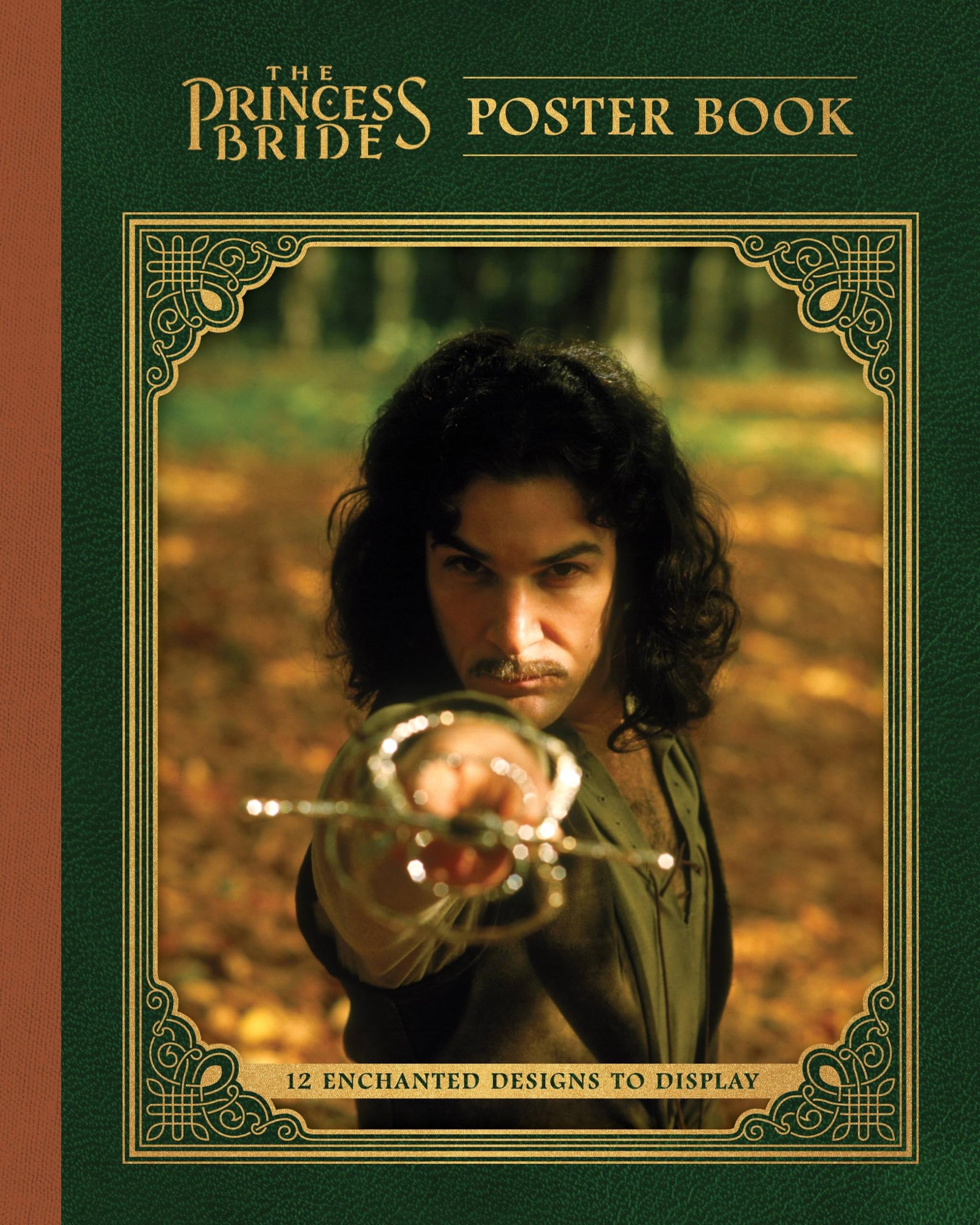 Amazon.com: The Princess Bride Poster Book: 12 Enchanted Designs to ...