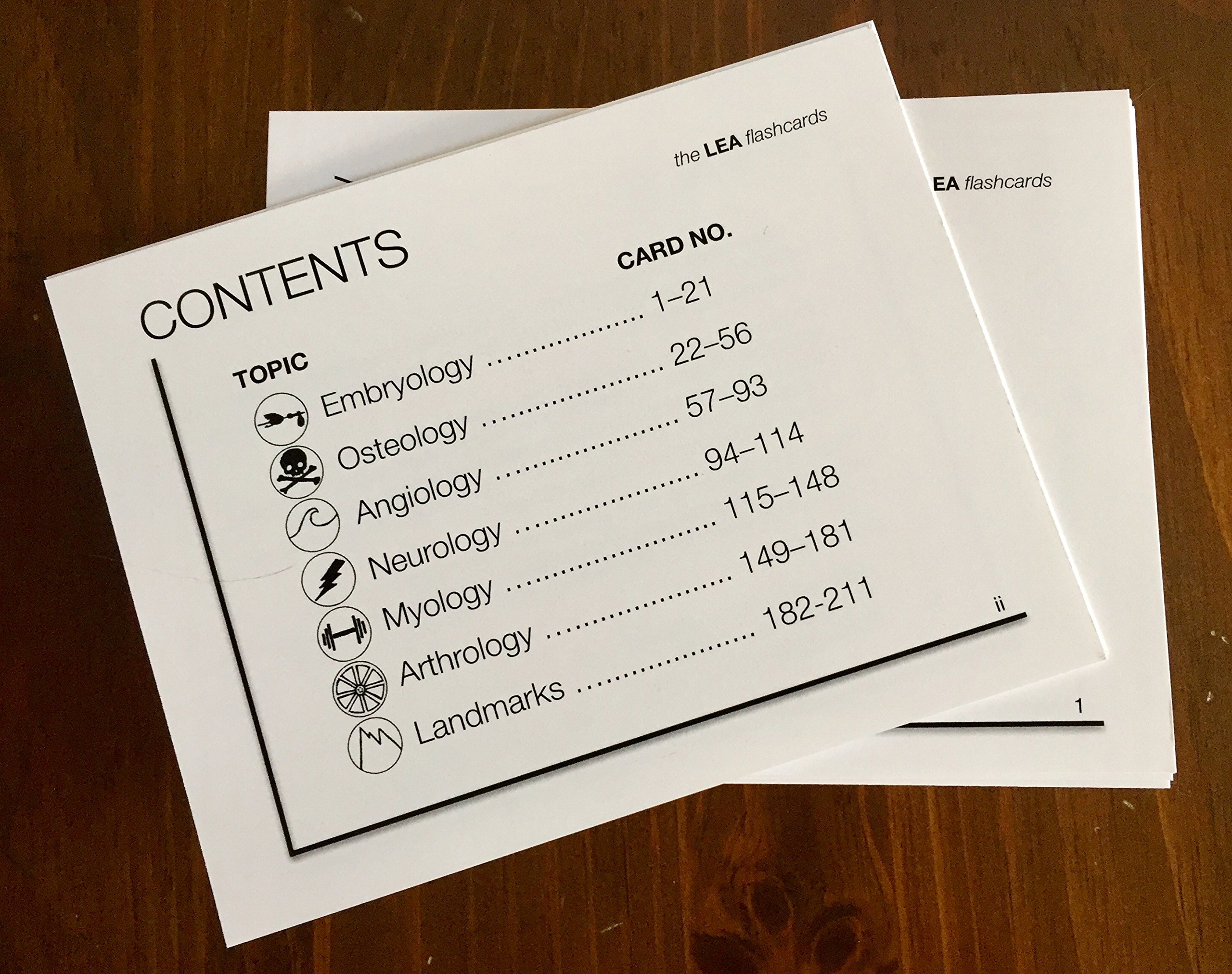 Bilateral Lower Extremity Flashcards Easy Notecards Bones And Joints