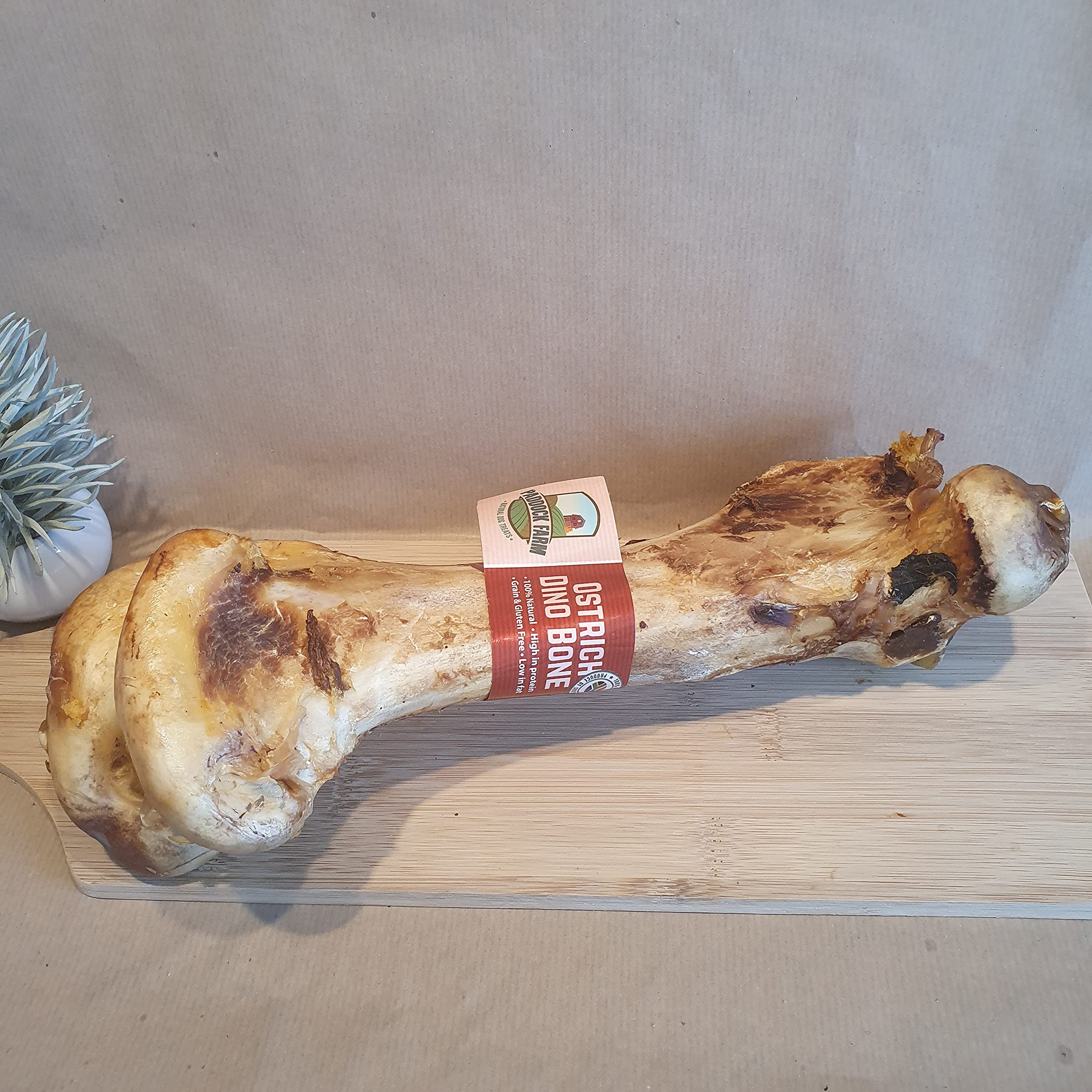 Ultimate Ostrich “DINO” Bone. A Huge Safer Bone for Big Dogs – BigaMart