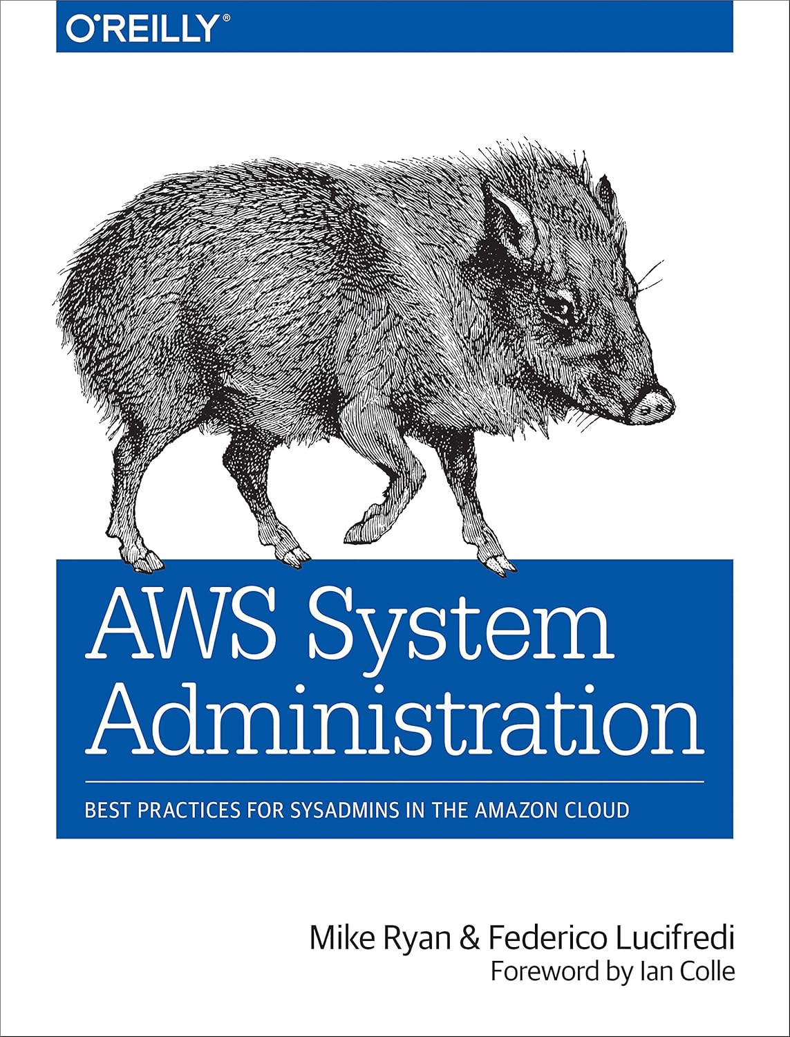 Amazon.com: AWS System Administration: Best Practices for Sysadmins in ...