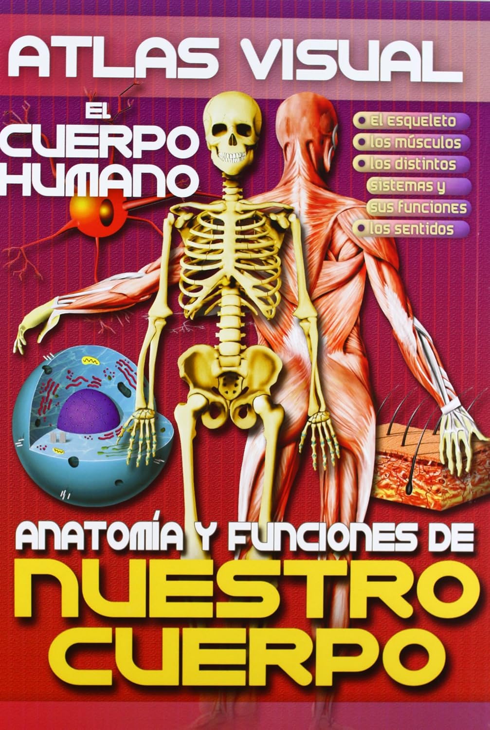 Atlas Visual El Cuerpo Humano / Visual Atlas of the Human Body ...