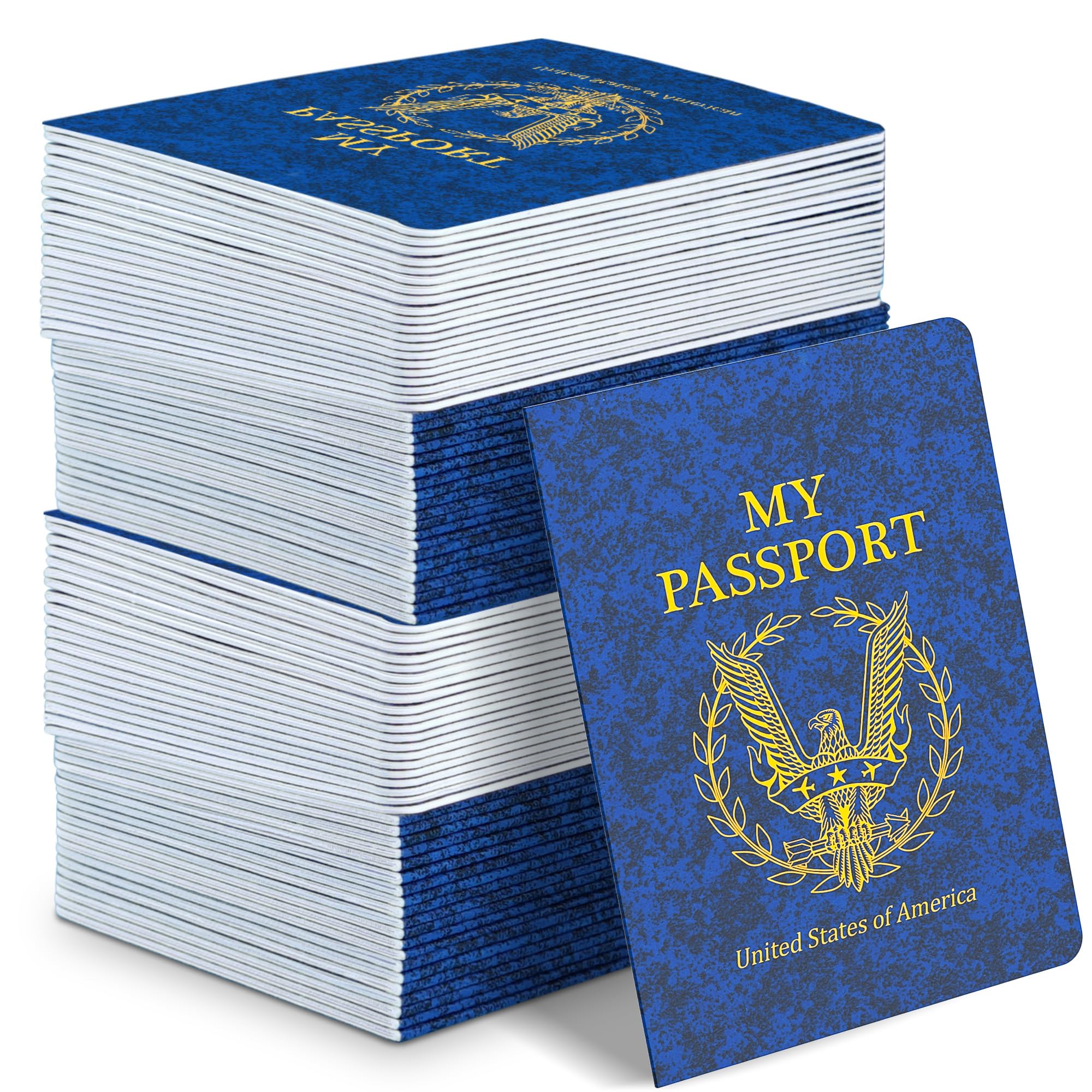 Blank Passport Book