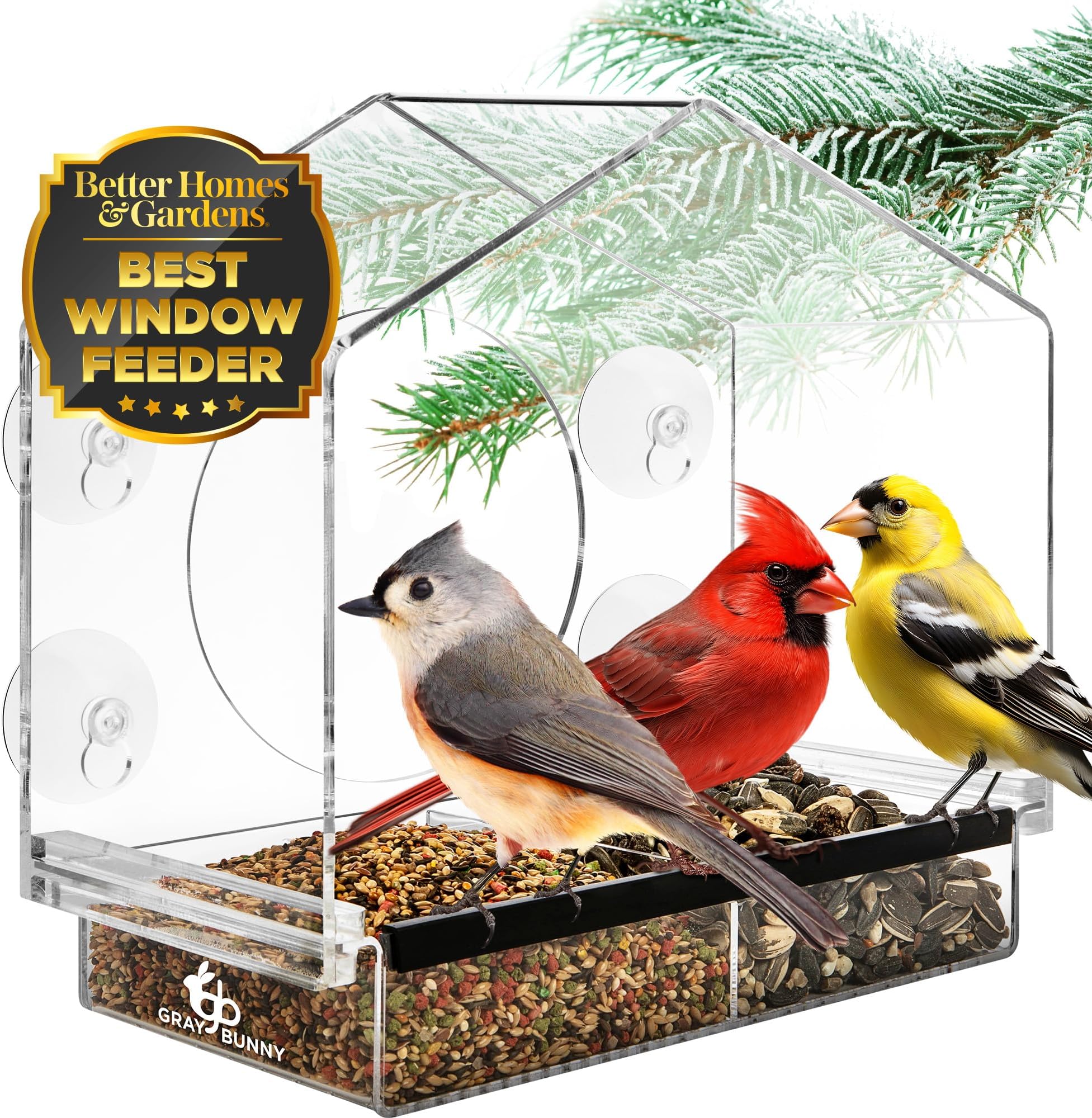 Amazon.com : Clearview Window Bird Feeder 180 Degree in-Home View ...