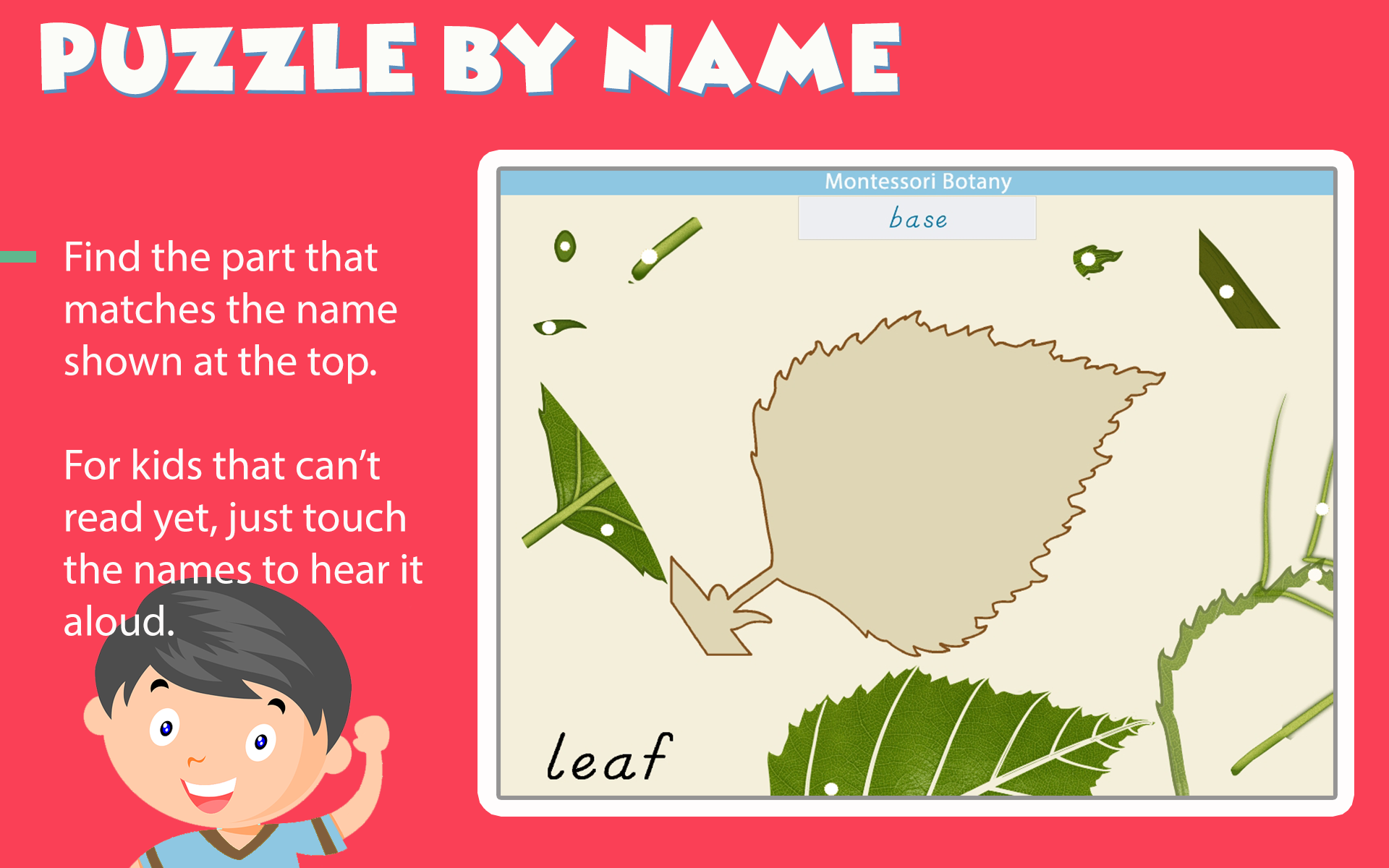 Montessori Botany - Parts of Plants - App on Amazon Appstore