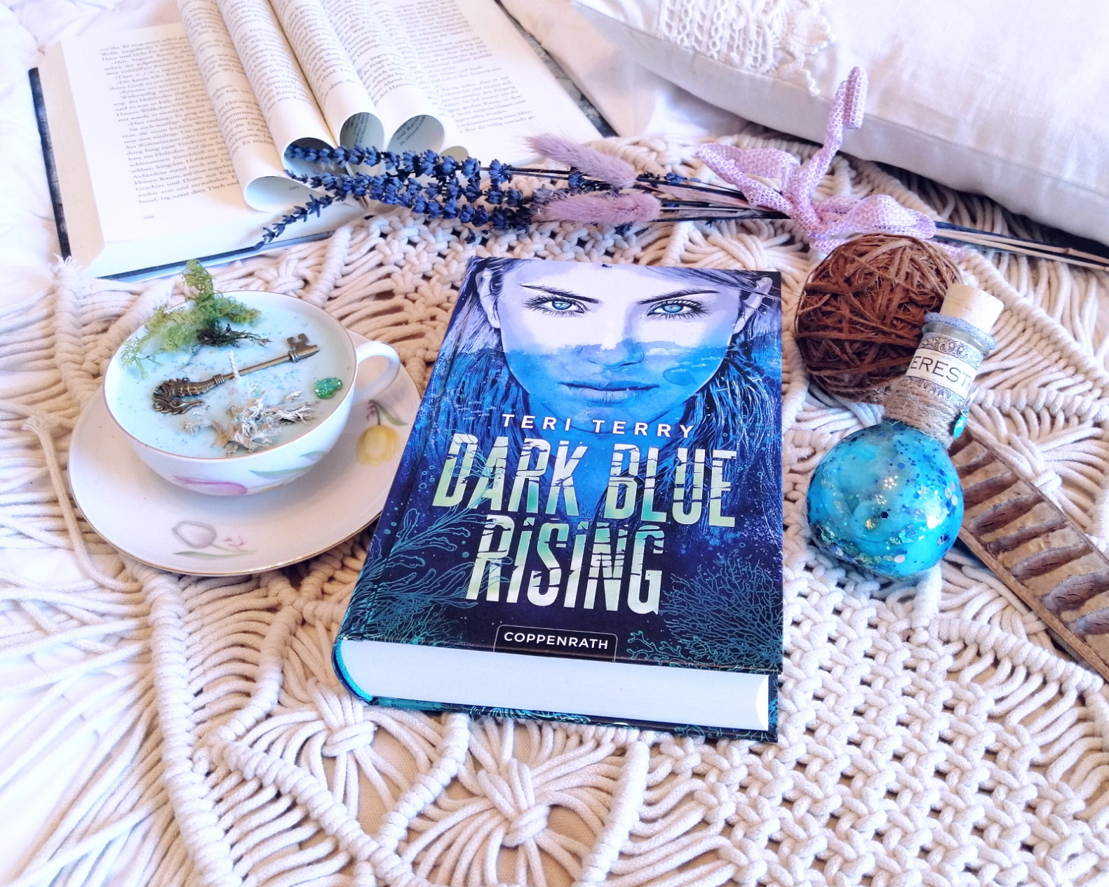 Dark Blue Rising (Bd. 1) (Dark Blue Rising, 1, Band 1) : Terry, Teri ...