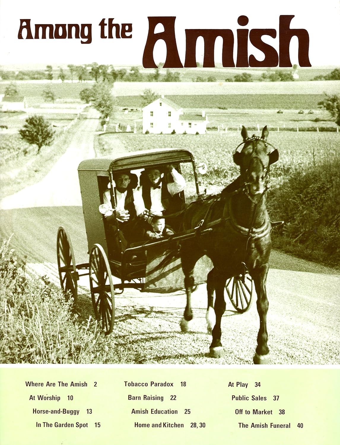 Among the Amish: Horst, Melvin J., Smith, Elmer Lewis: 9780911410013 ...