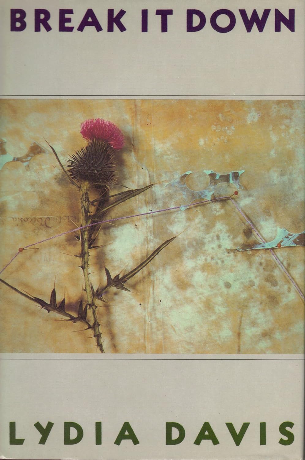 Amazon | Break It Down | Davis, Lydia | United States