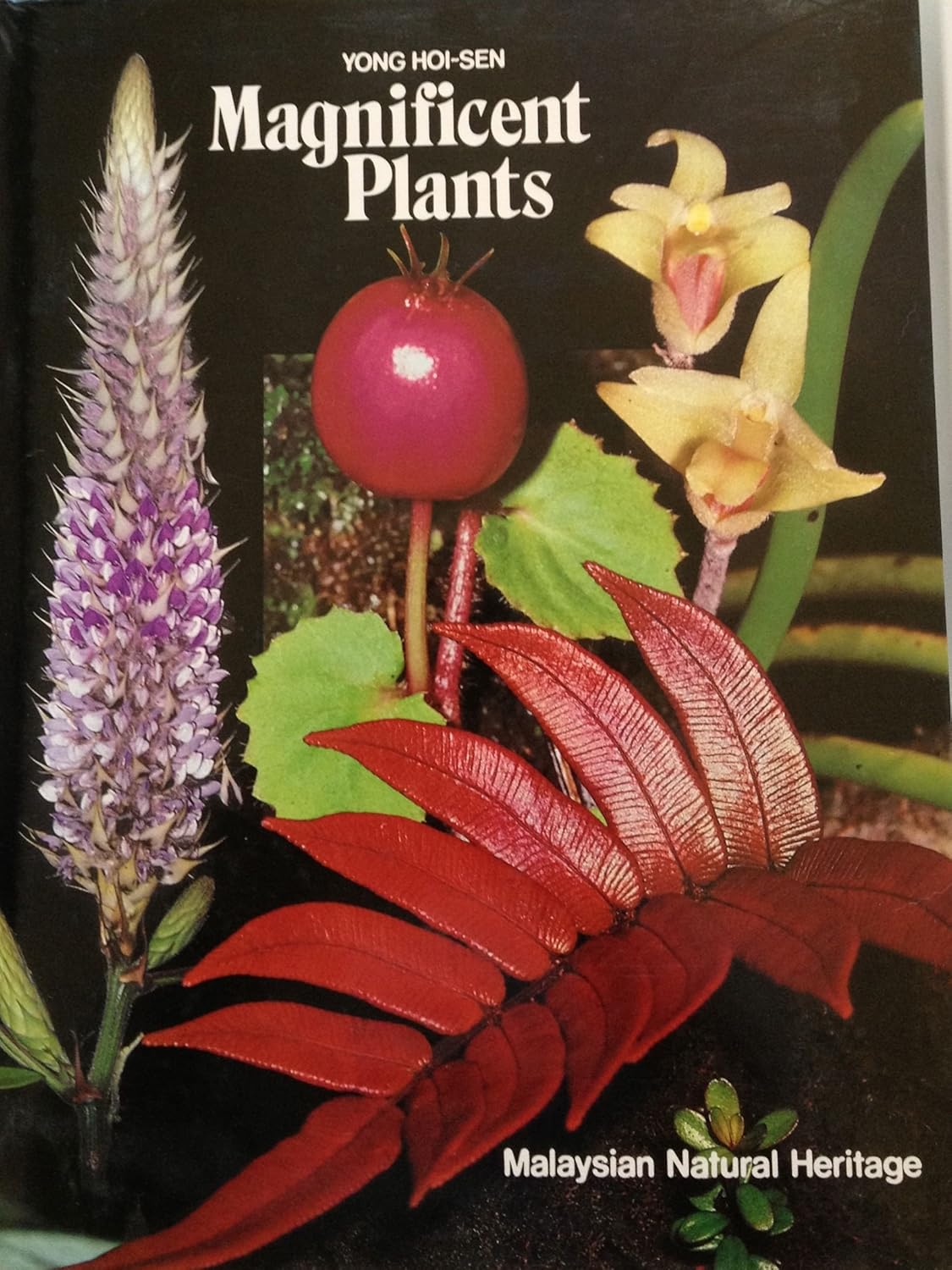 Magnificent plants (Malaysian natural heritage): Yong, Hoi-Sen: Amazon ...