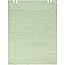 Amazon.com : Wilson Jones Green Columnar Ruled Ledger Paper, Double ...
