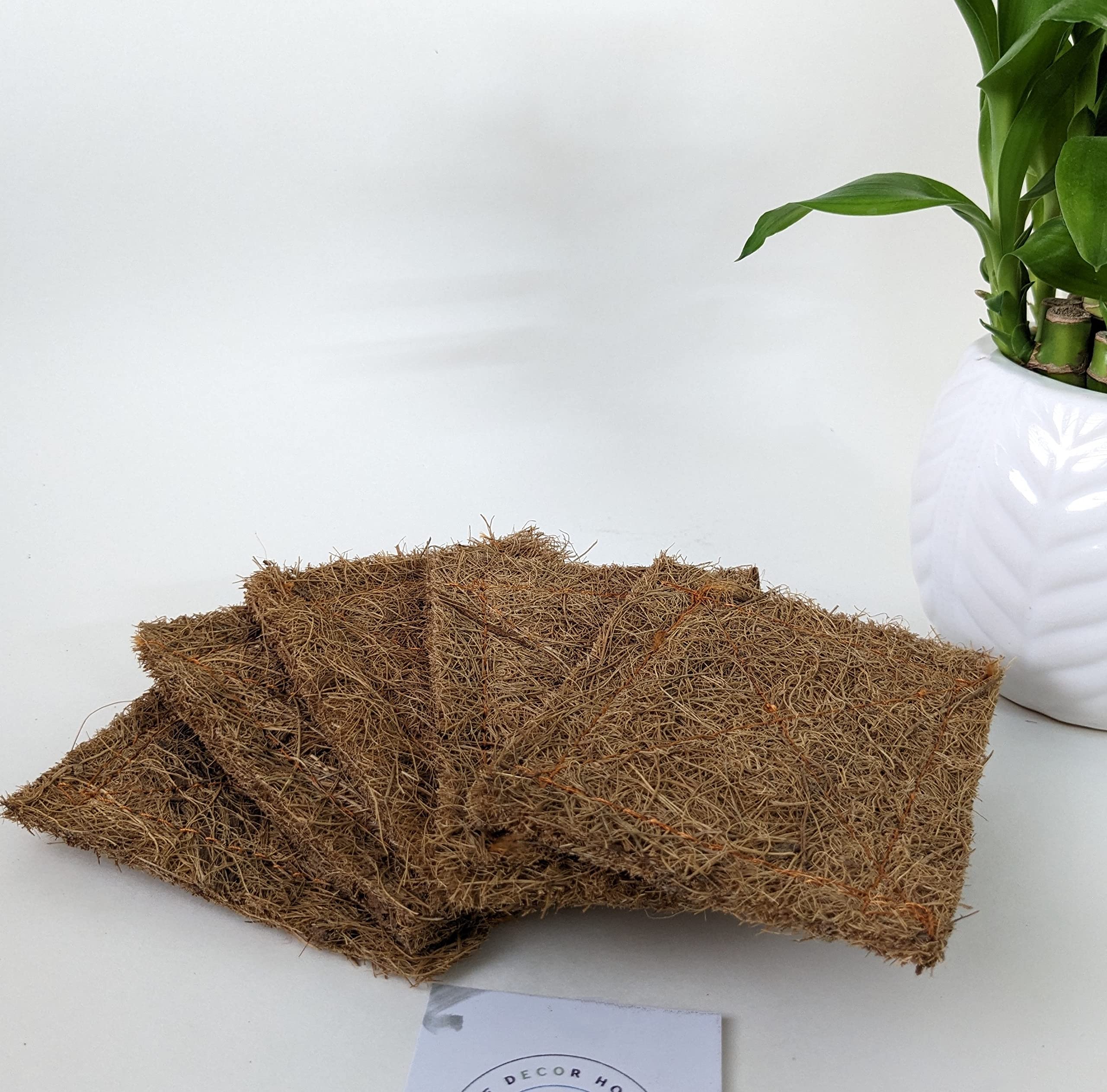 The DECORHOME'S Eco Friendly Natural Coir Coconut Fibre Dish Scrubber ...